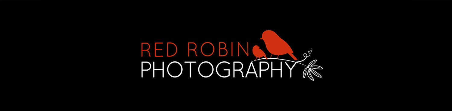 NEWBORN - Red Robin Photography