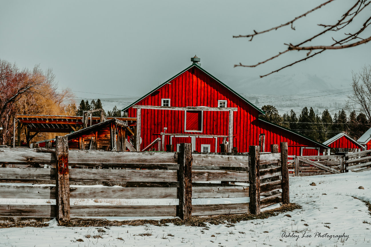 HOME - Never Sweat Ranch