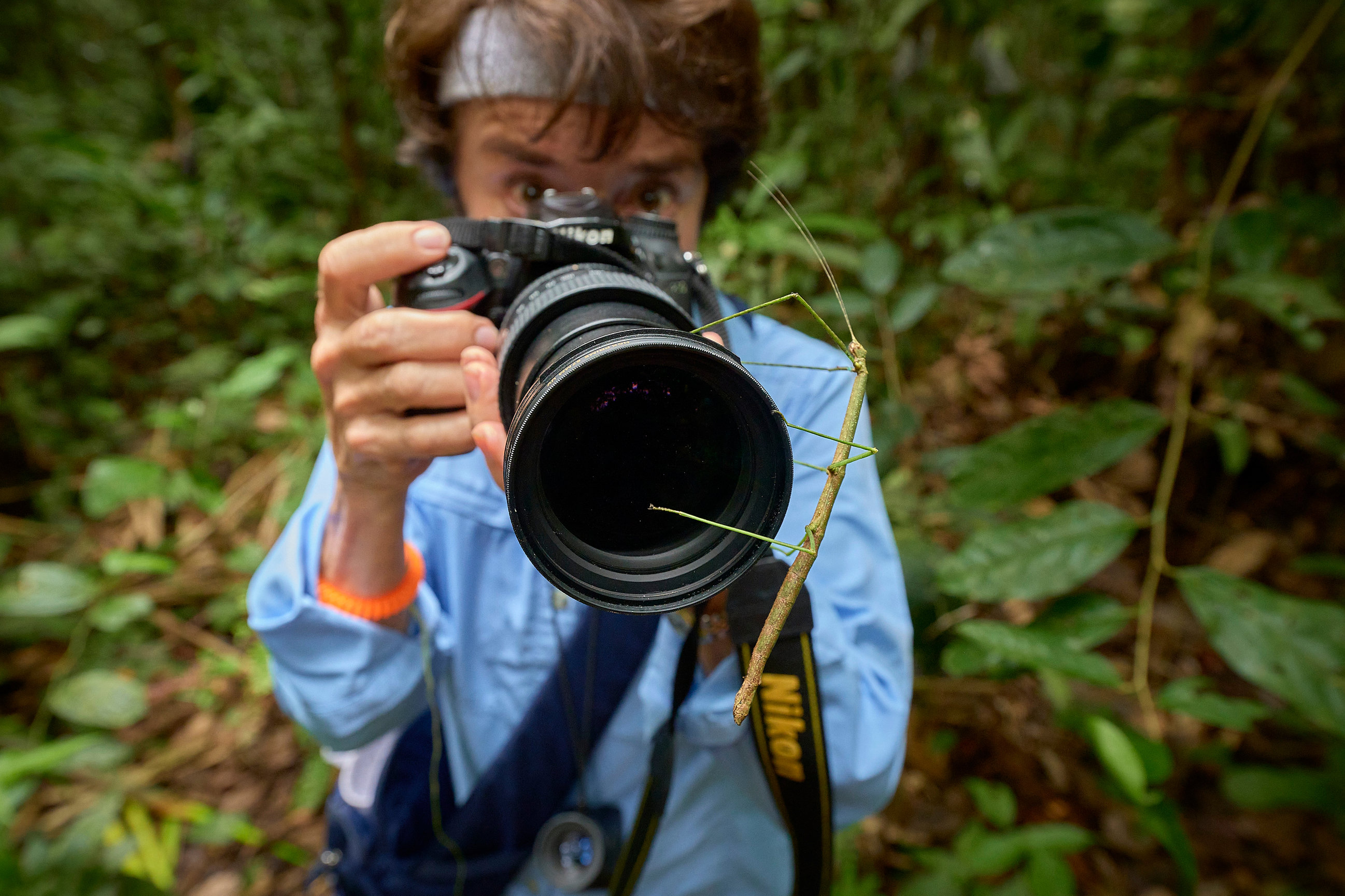 The Amazon Safari 2025 - fancy girl street boy productions