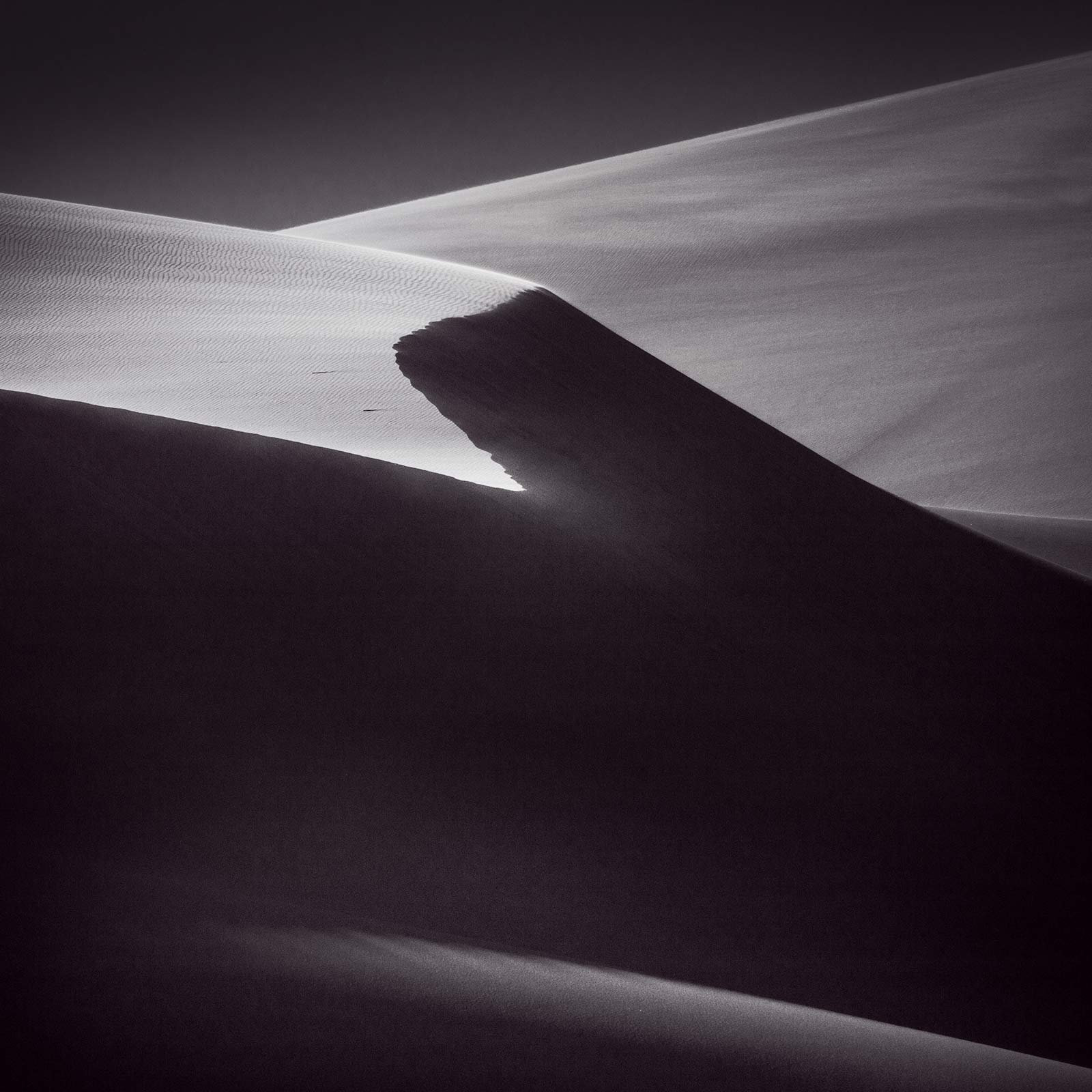 Sand Tracks - Rob Strain