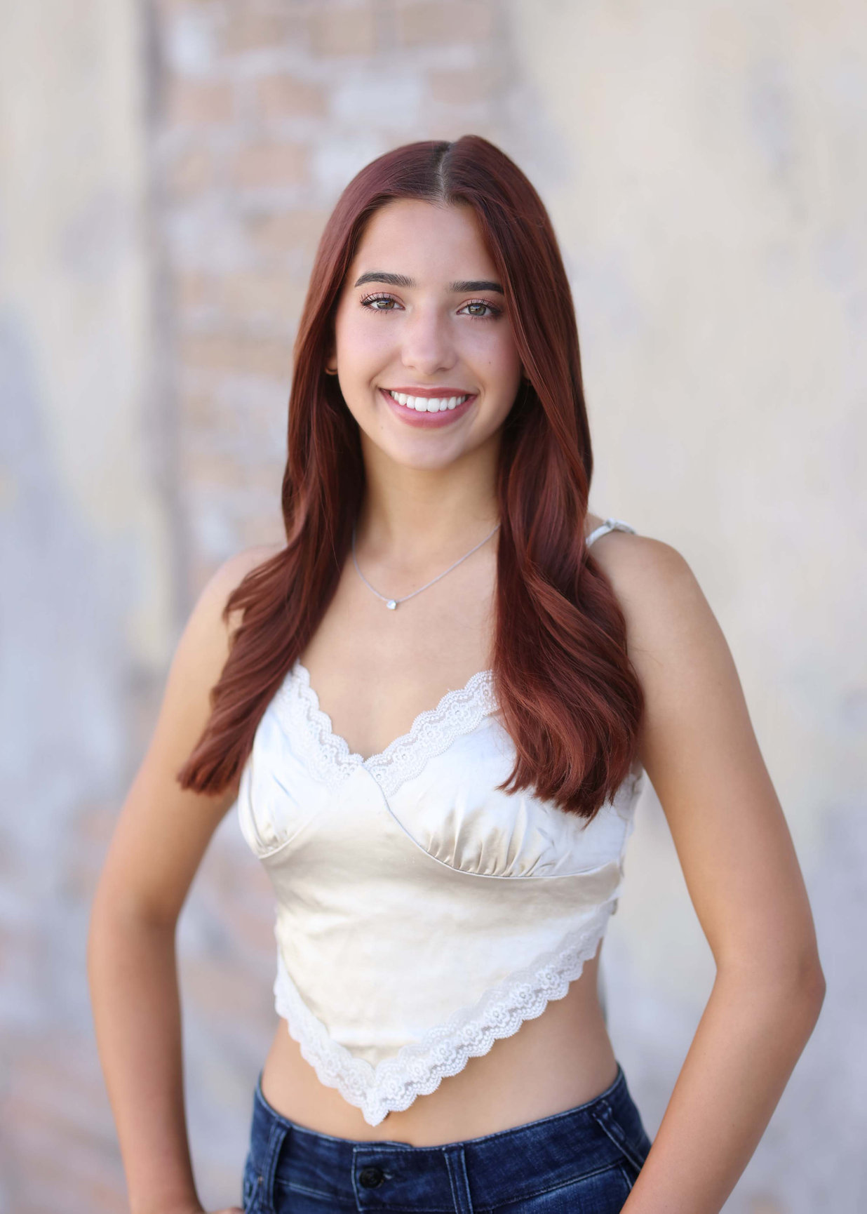 Light Bricks Style Guide - Photo Art Industries