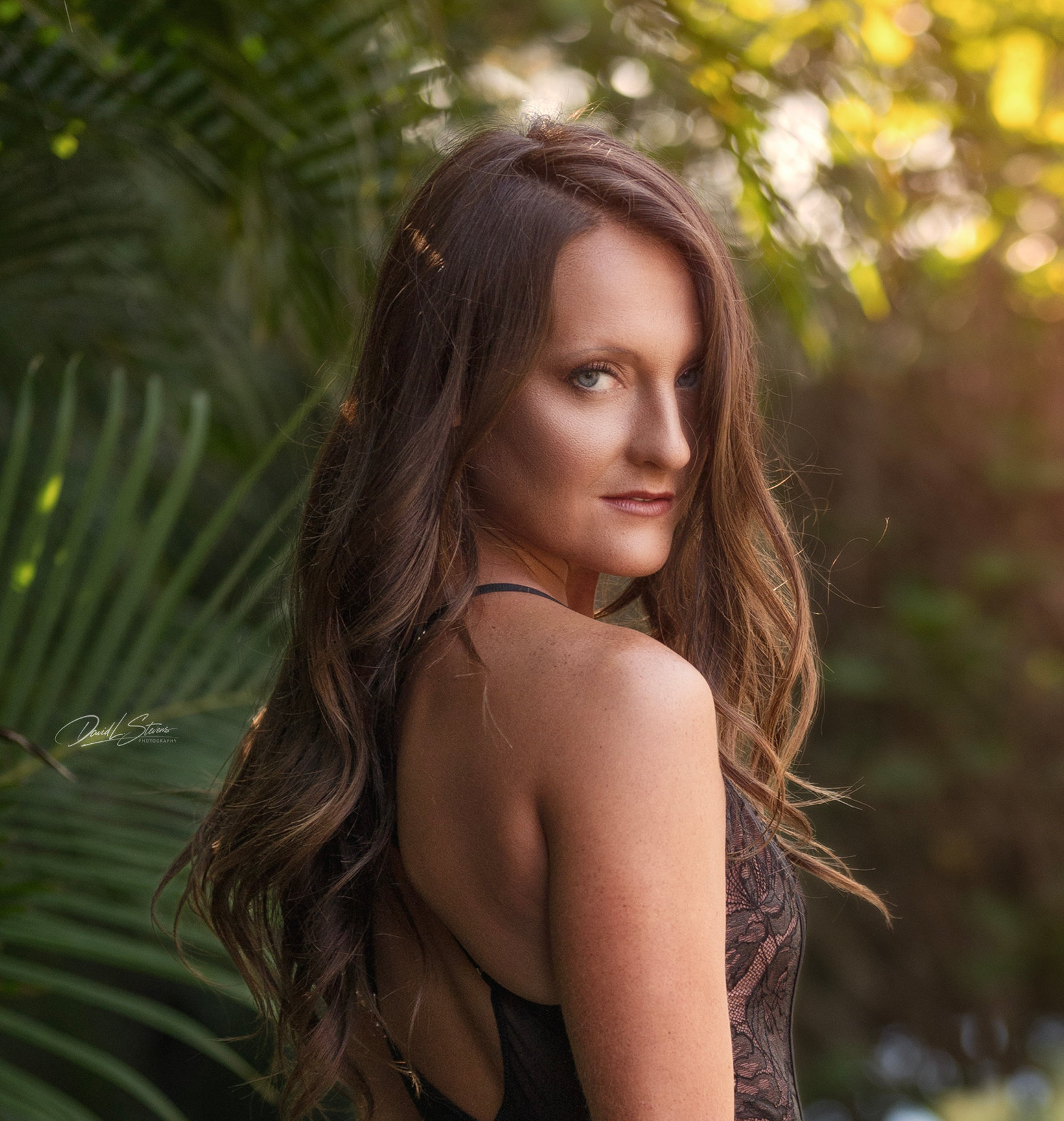 One With Nature - David L. Stevens Photography