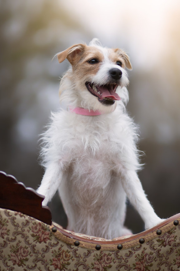 blog - Kim Yanick Portraits