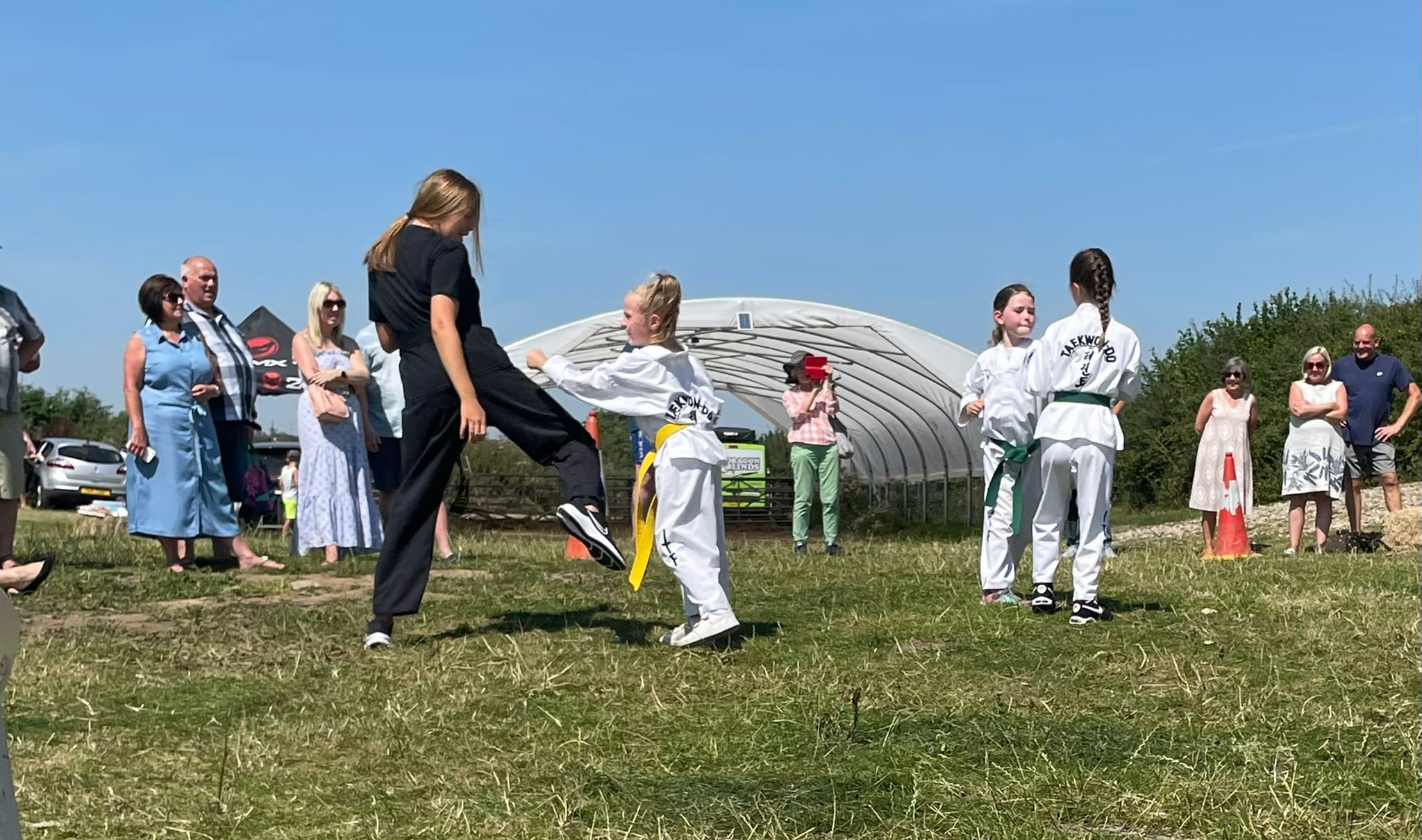Display at Pencoed Farm - Taekwon-do-Wales
