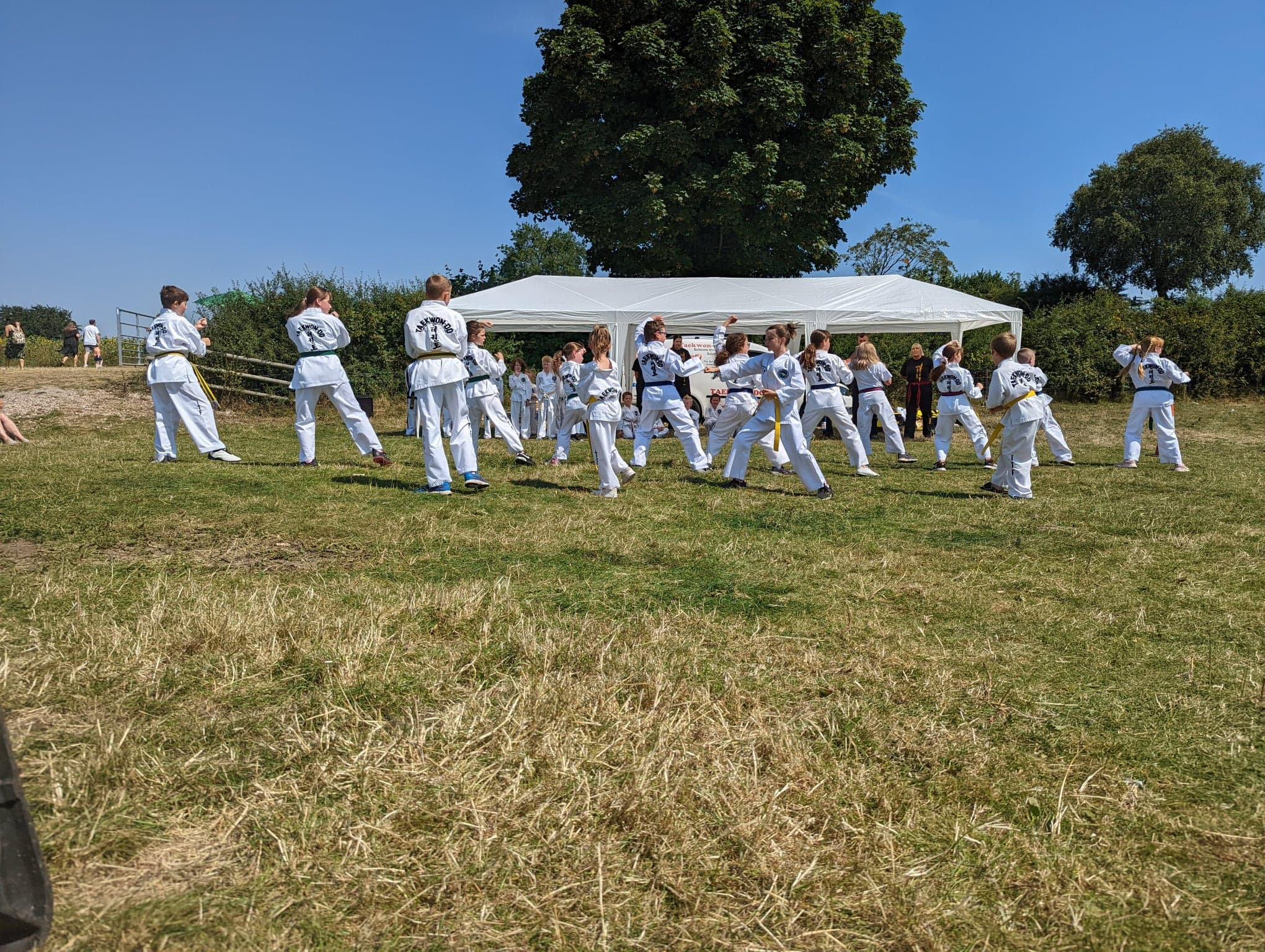 Display at Pencoed Farm - Taekwon-do-Wales