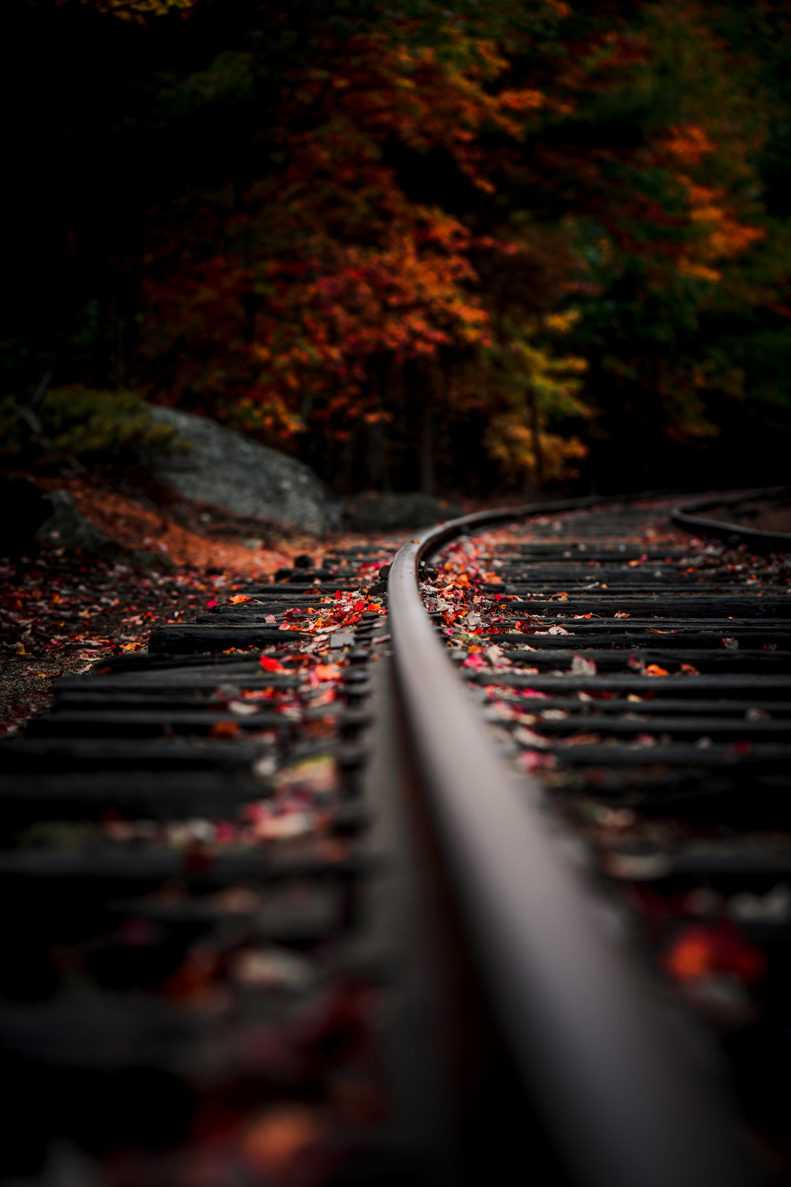 Autumn Rails (Maine) - Professor Hines - ZEISS Ambassador, Adobe & Sony ...