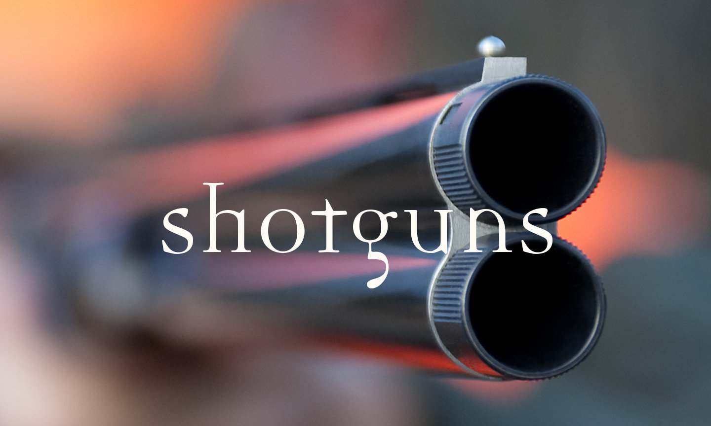 Shotguns - Chris Mathan Sporting Dogs