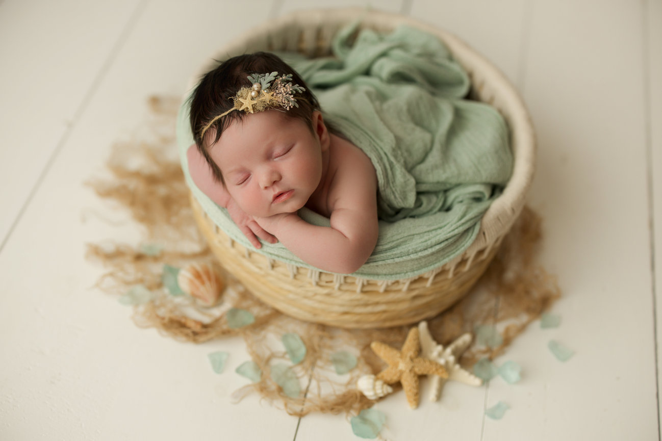 home - Amanda Brehm Photography