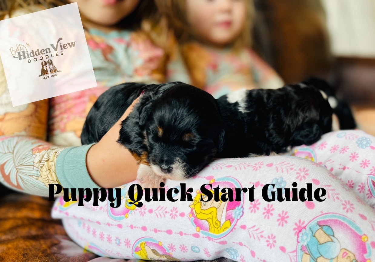 Puppy Quick Start Guide - Beltz Hidden View Doodles Puppy Quick Start Guide - Beltz Hidden View Doodles