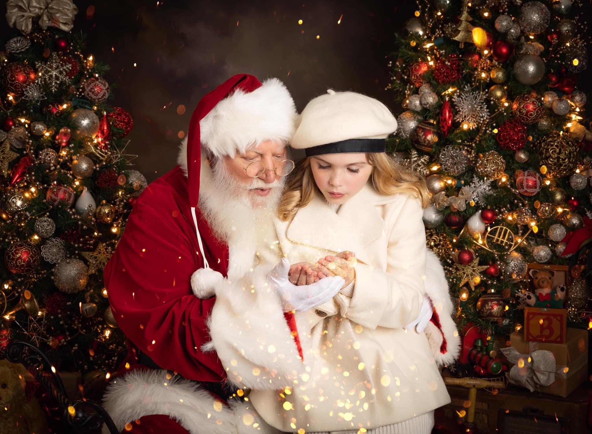 DEAR SANTA 2024 - THE DETAILS