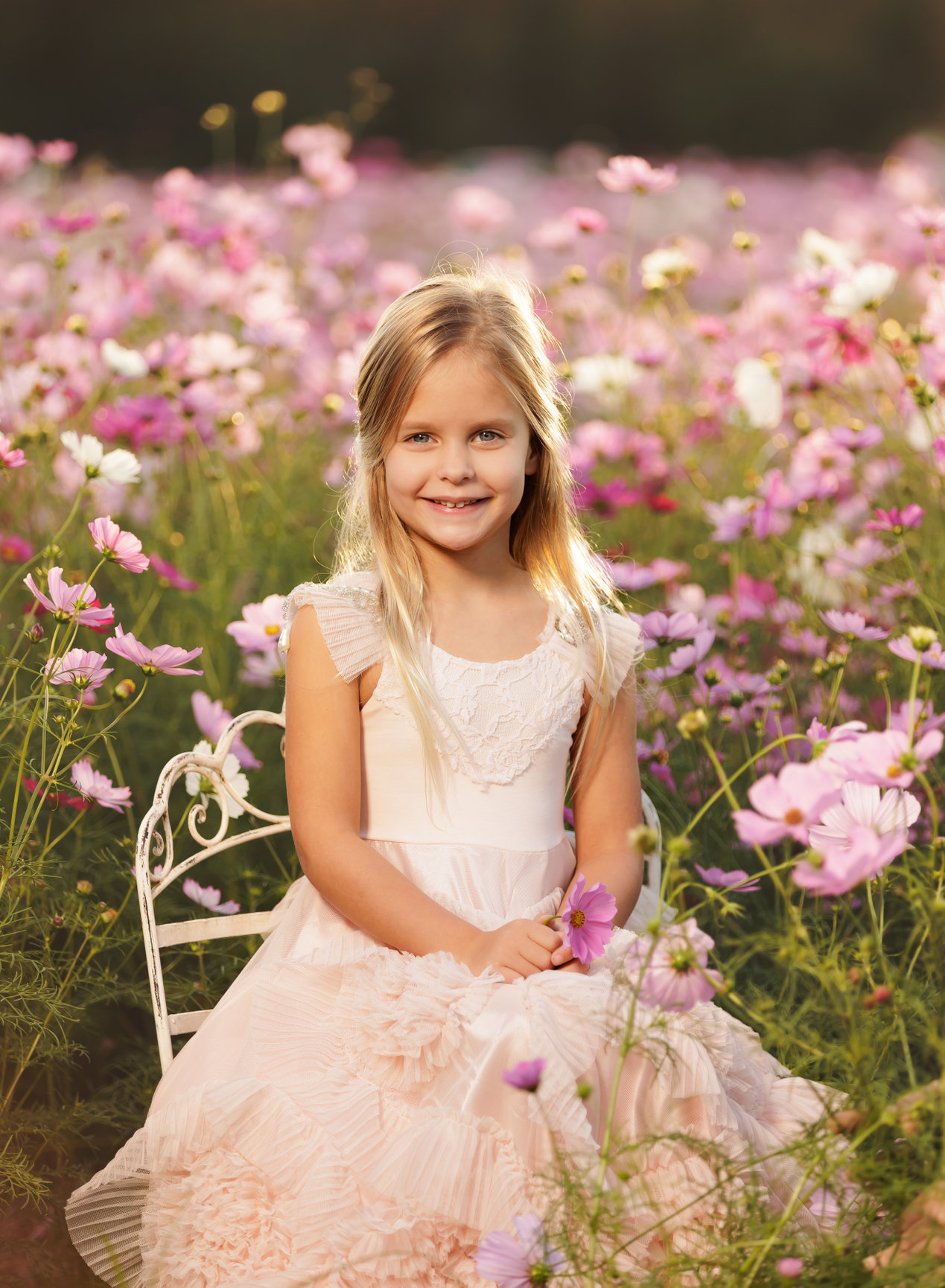5-Year-Old Girl Portrait in Cosmos Field | Raleigh