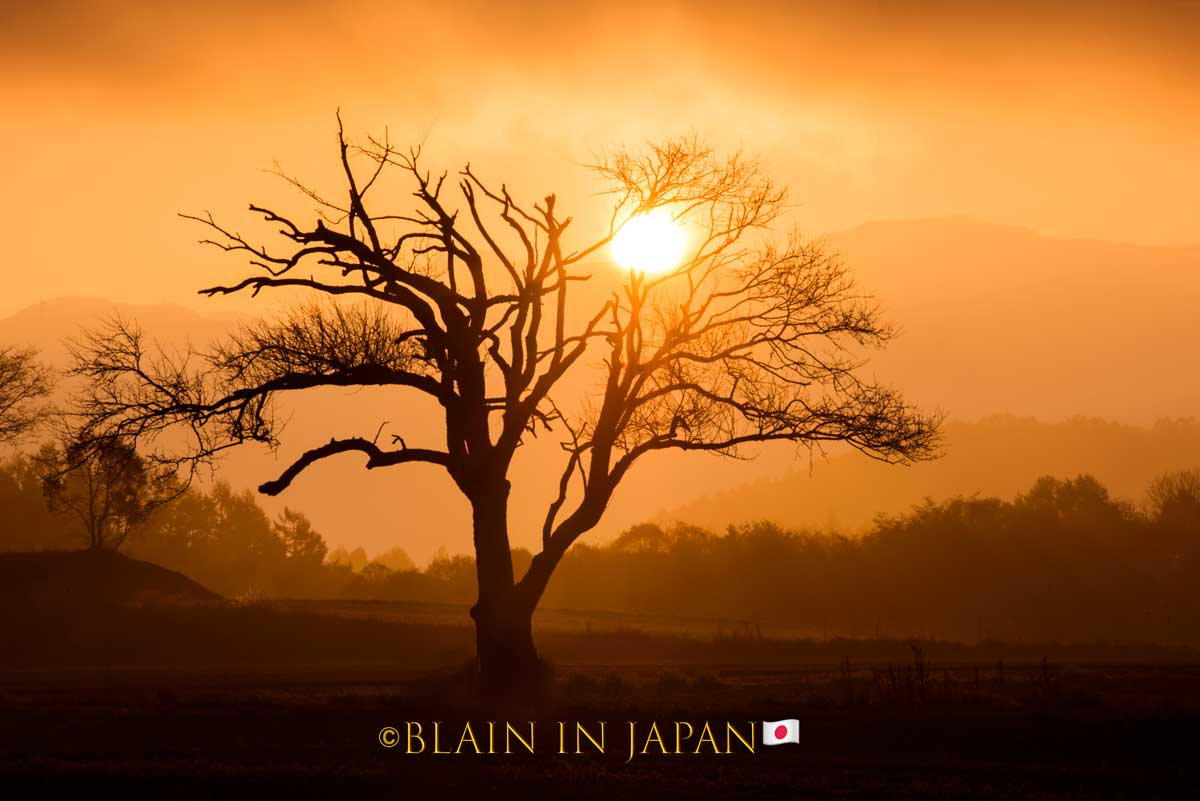 Blue Golden Hour - Blain Harasymiw Photography