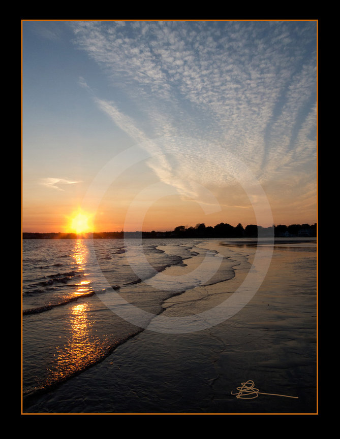 NOTECARDS - Patty Swanson Photography