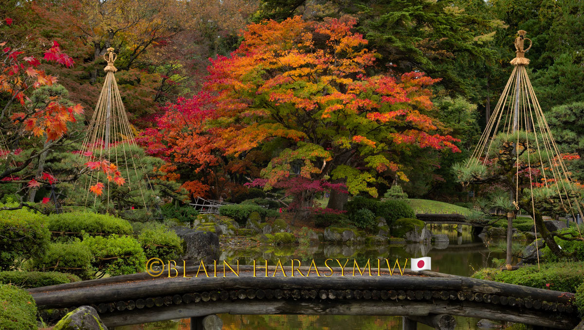 Japan Autumn Photography Tour - See Authentic Japan - Blain Harasymiw ...