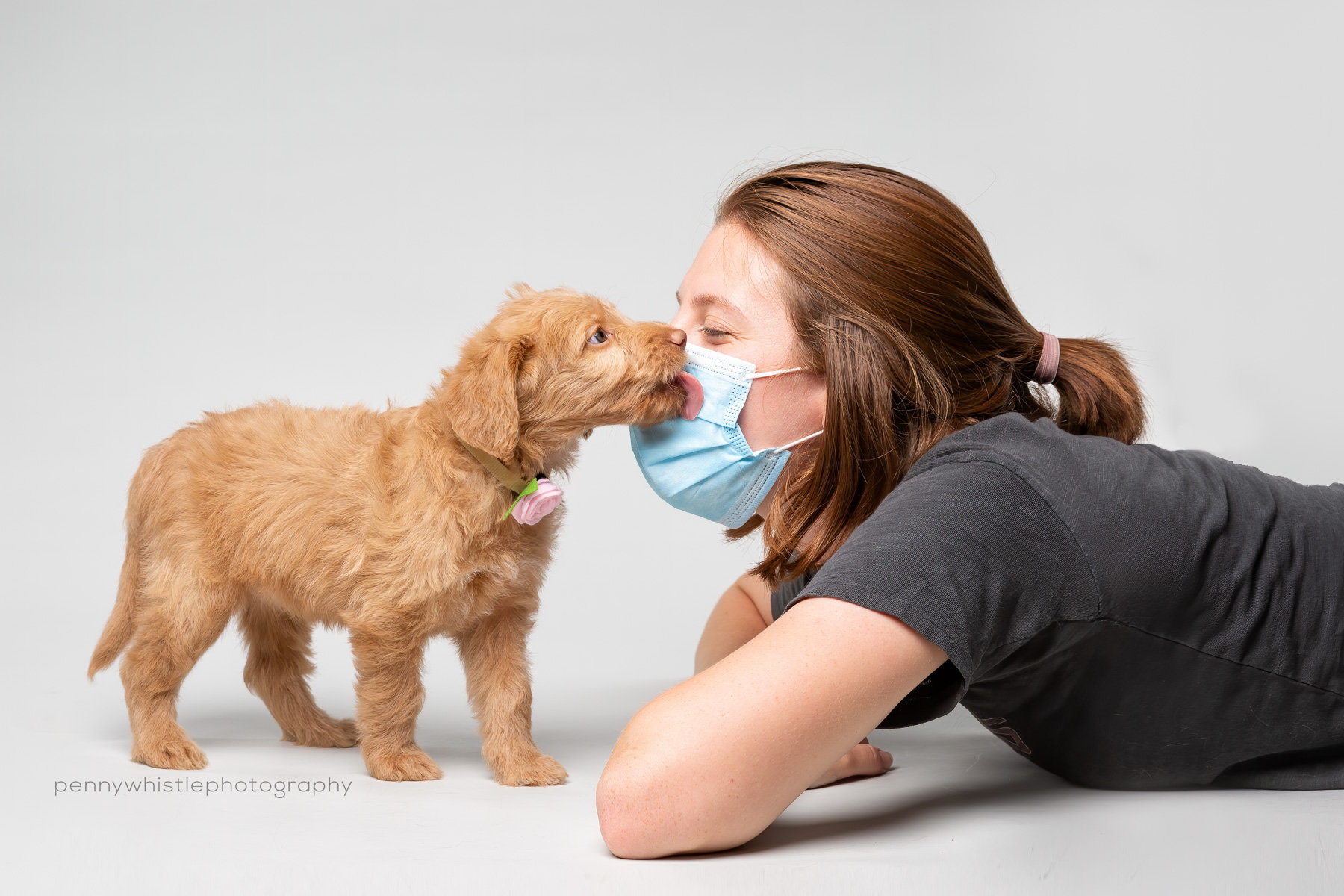 Commercial Animal Photography For Your North Texas Business - Penny ...