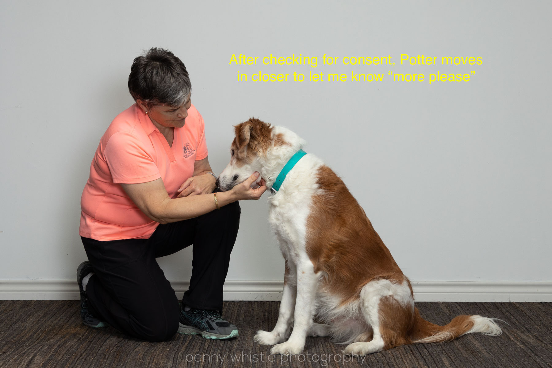 How To Greet A Dog The Right Way