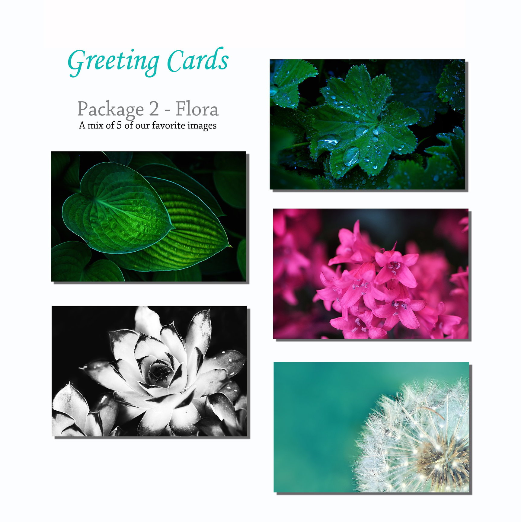 Greeting Cards Have Arrived - Artcentric Photographic Arts