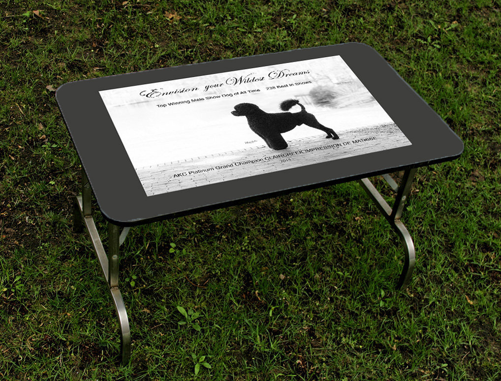 GROOMING TABLE TOPS - Klinefelter's Gallery