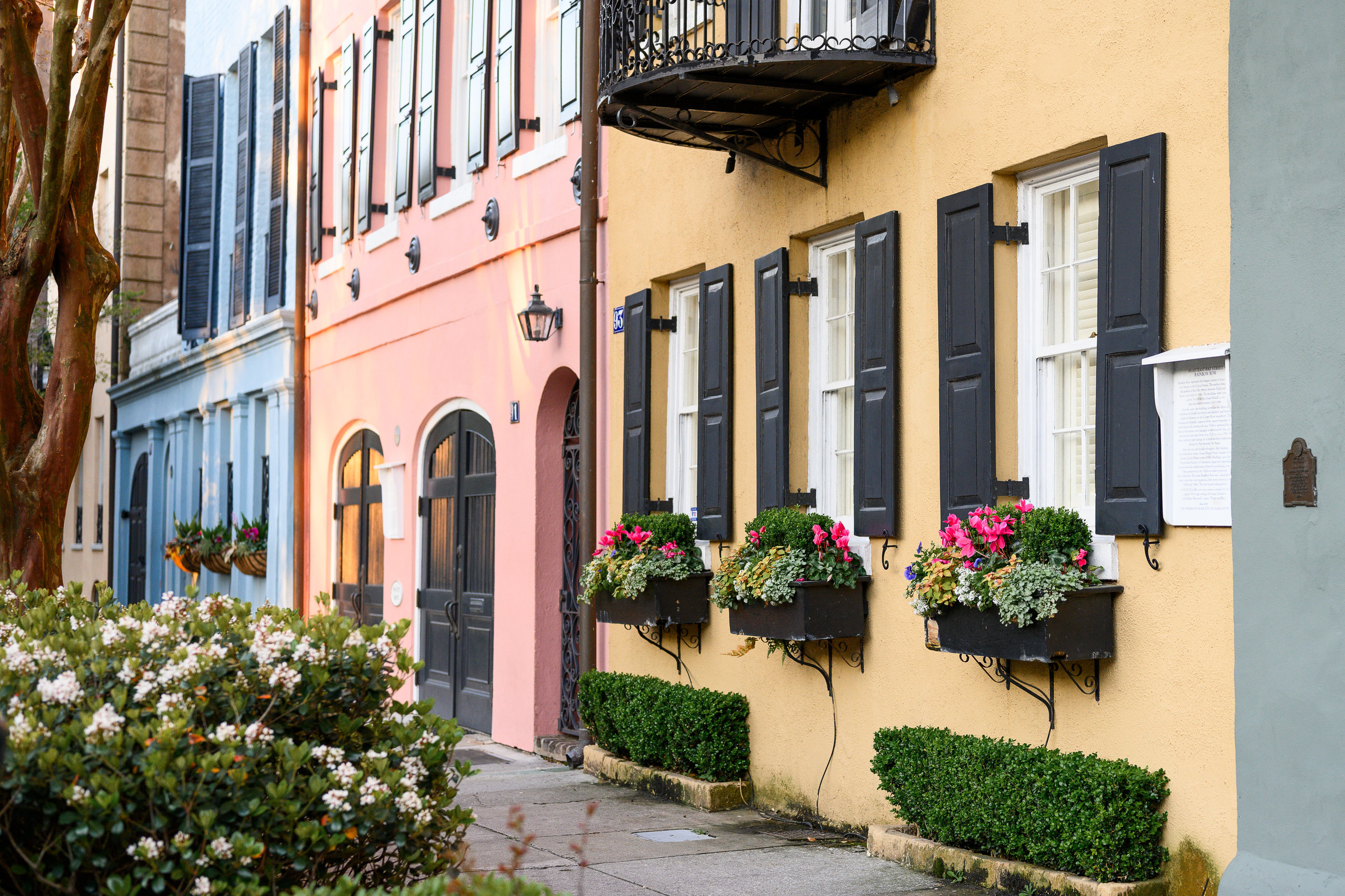 Photographic Routes of Charleston with Erin Rose Photography
