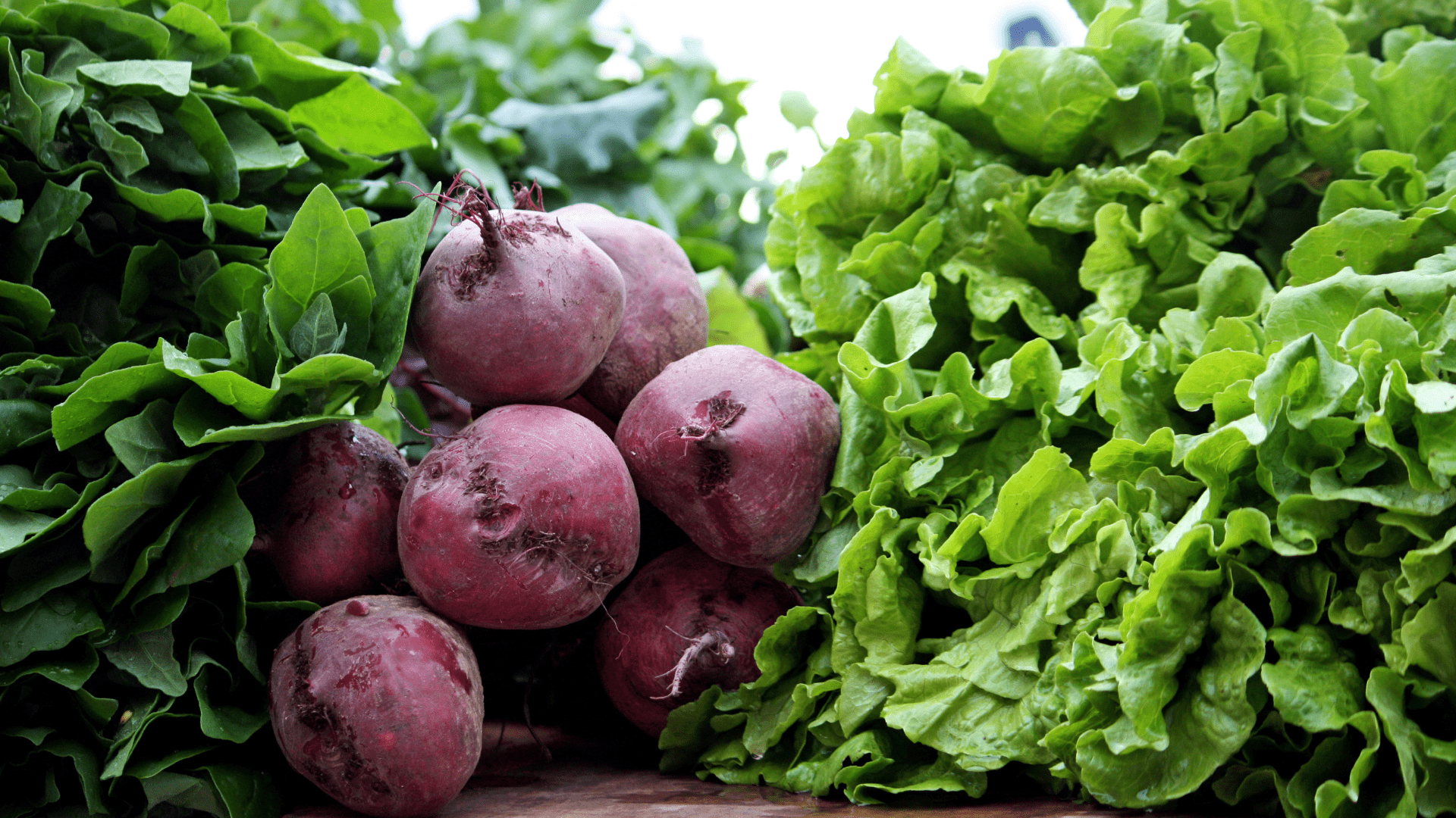 Weekly Sales - Deep Roots Market - Greensboro's Local Co-op Grocery & More