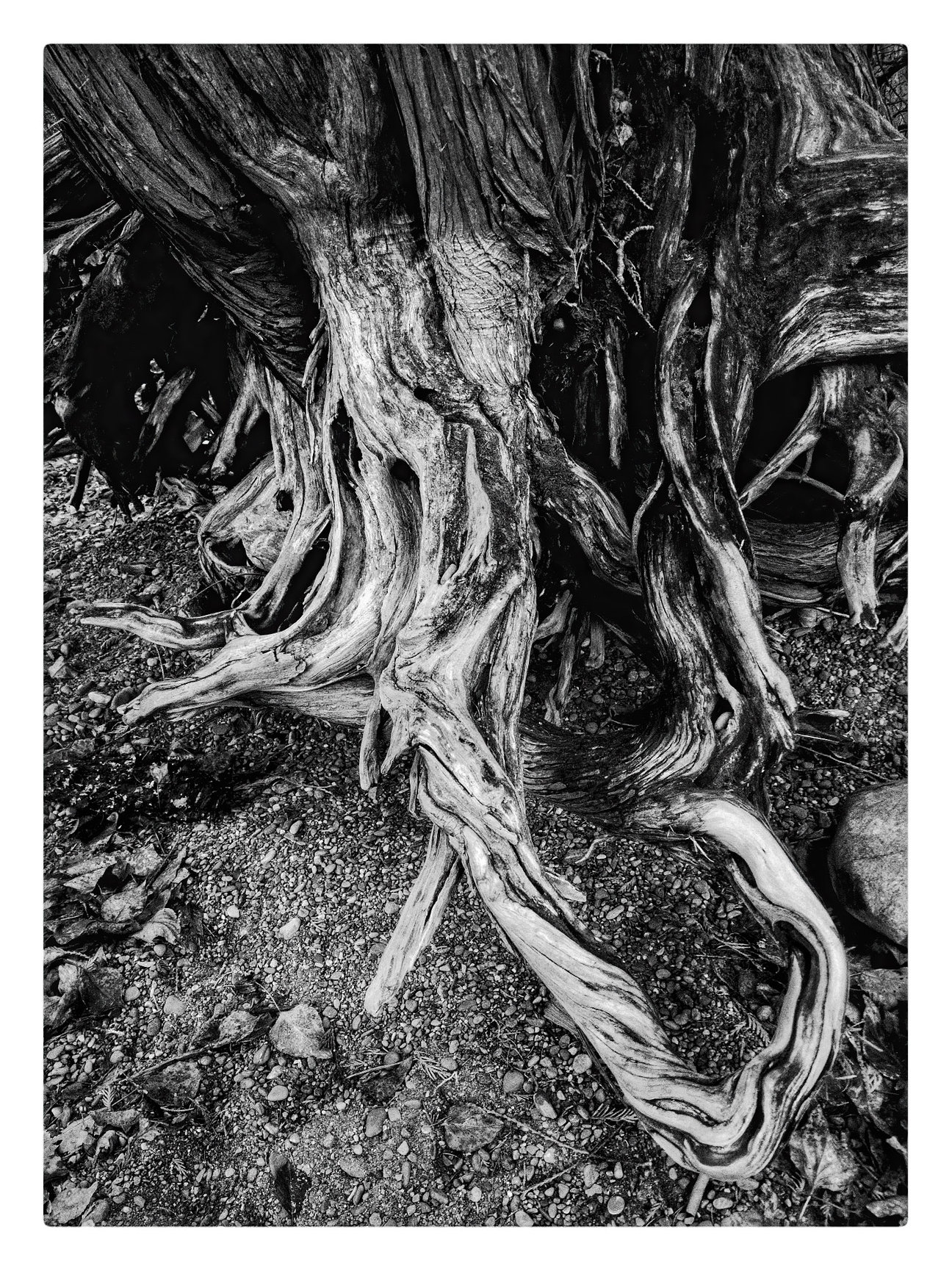 HOME - Steven Kaye Photography