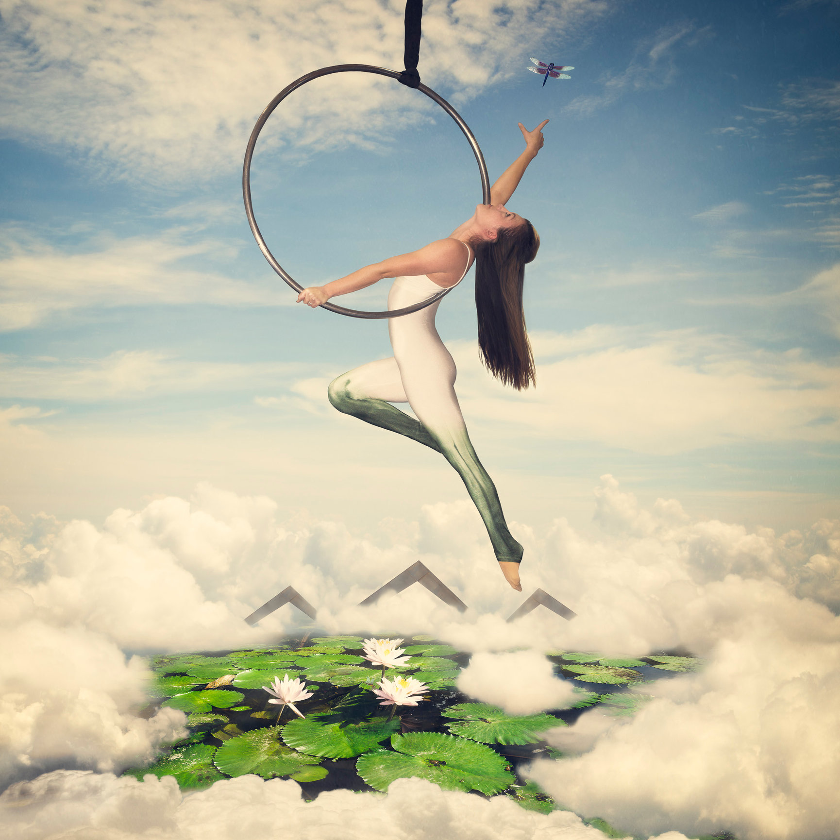 Dragonfly Aerials - Marisa S White - Fine Art Photography