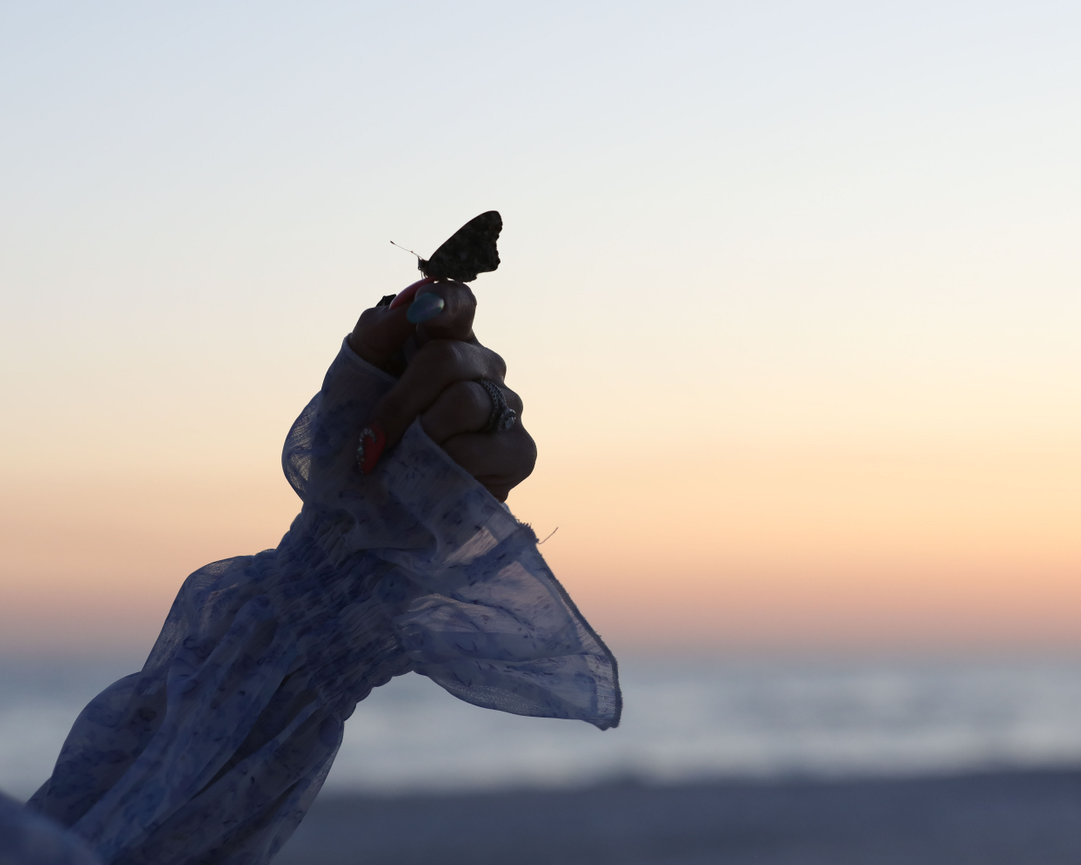 Perry, Florida Photographer - Perry, Florida Photographer - Amanda ...