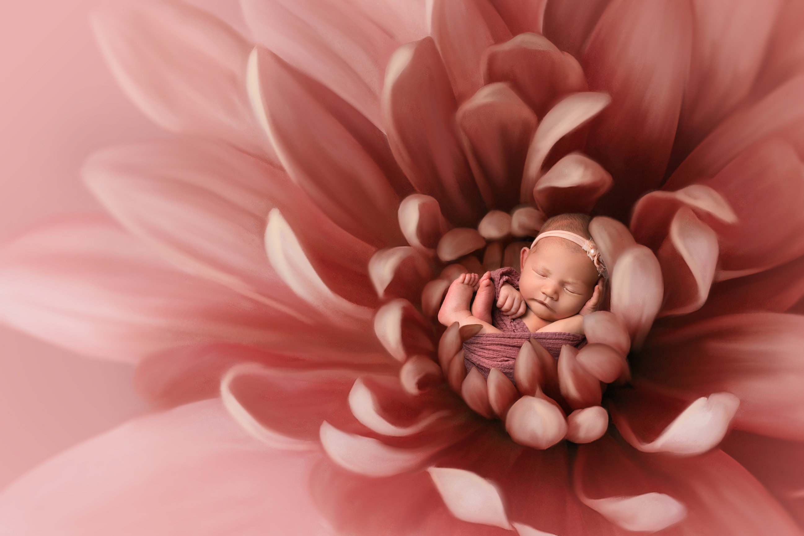 IMAGINATION SESSIONS - shannon squires photography