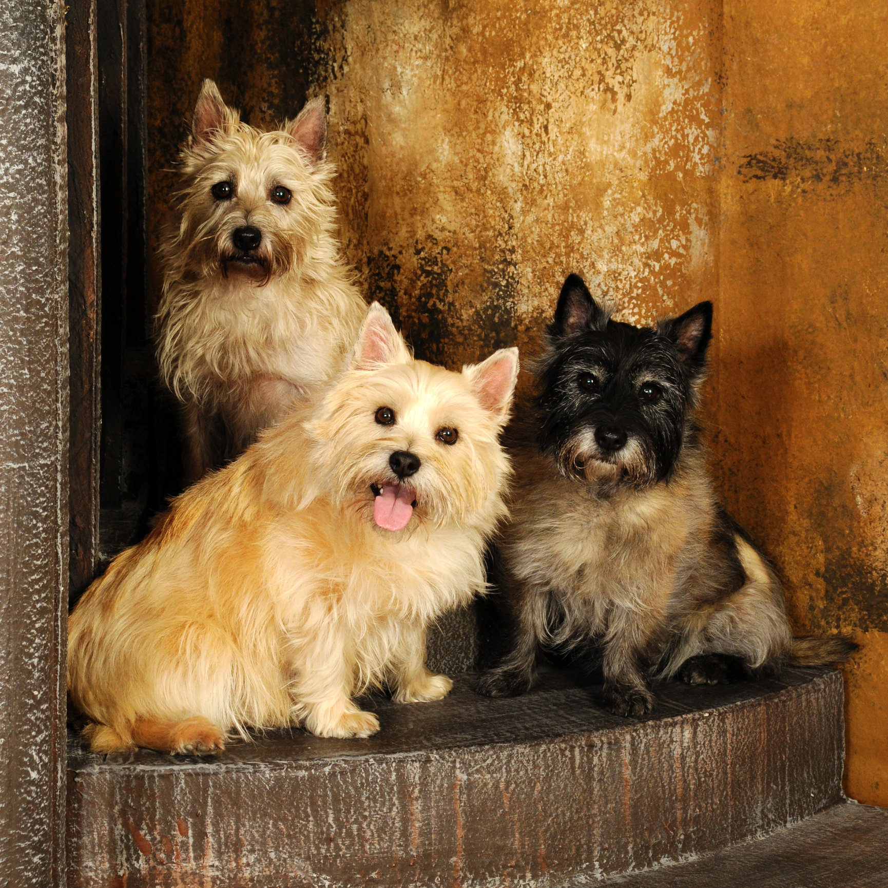 home - Catherine Hellman Photography