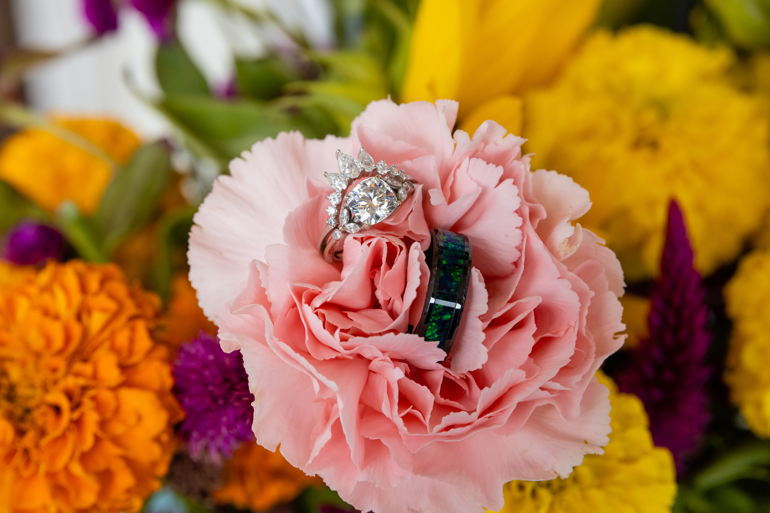 Wedding Portfolio | Janis Jack Photography | Frisco Weddings