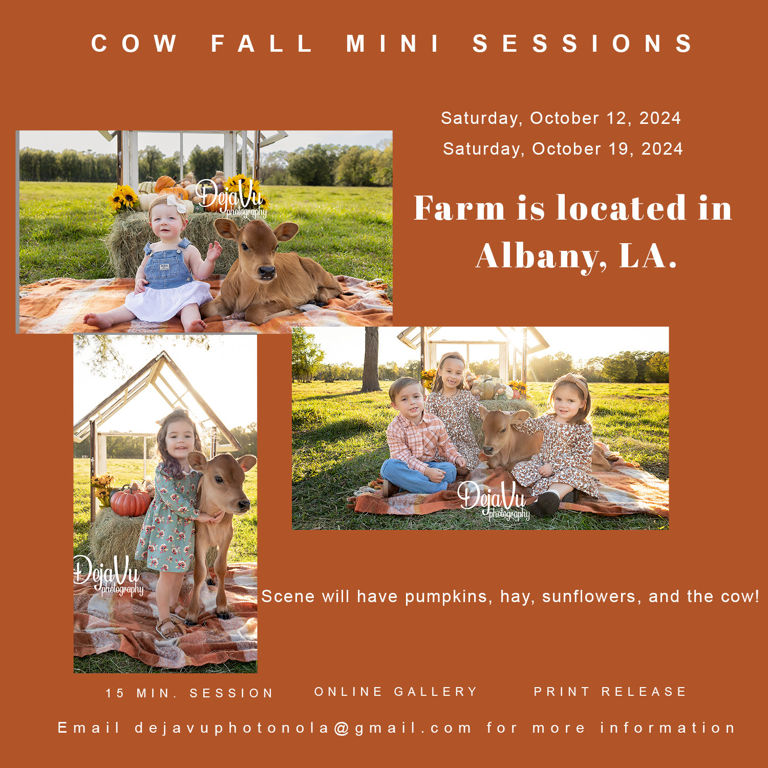 Upcoming Mini Sessions - Deja Vu Photography, L.L.C