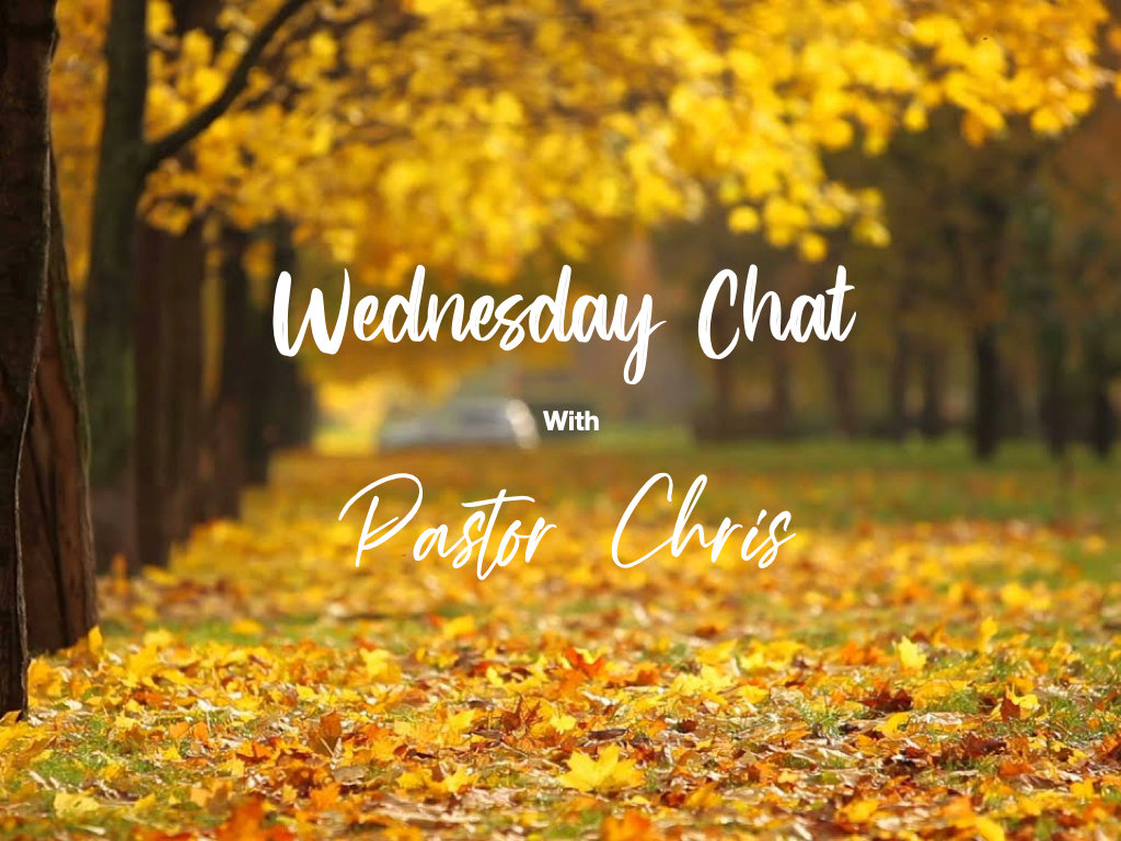 Wednesday Chat - Duck Church