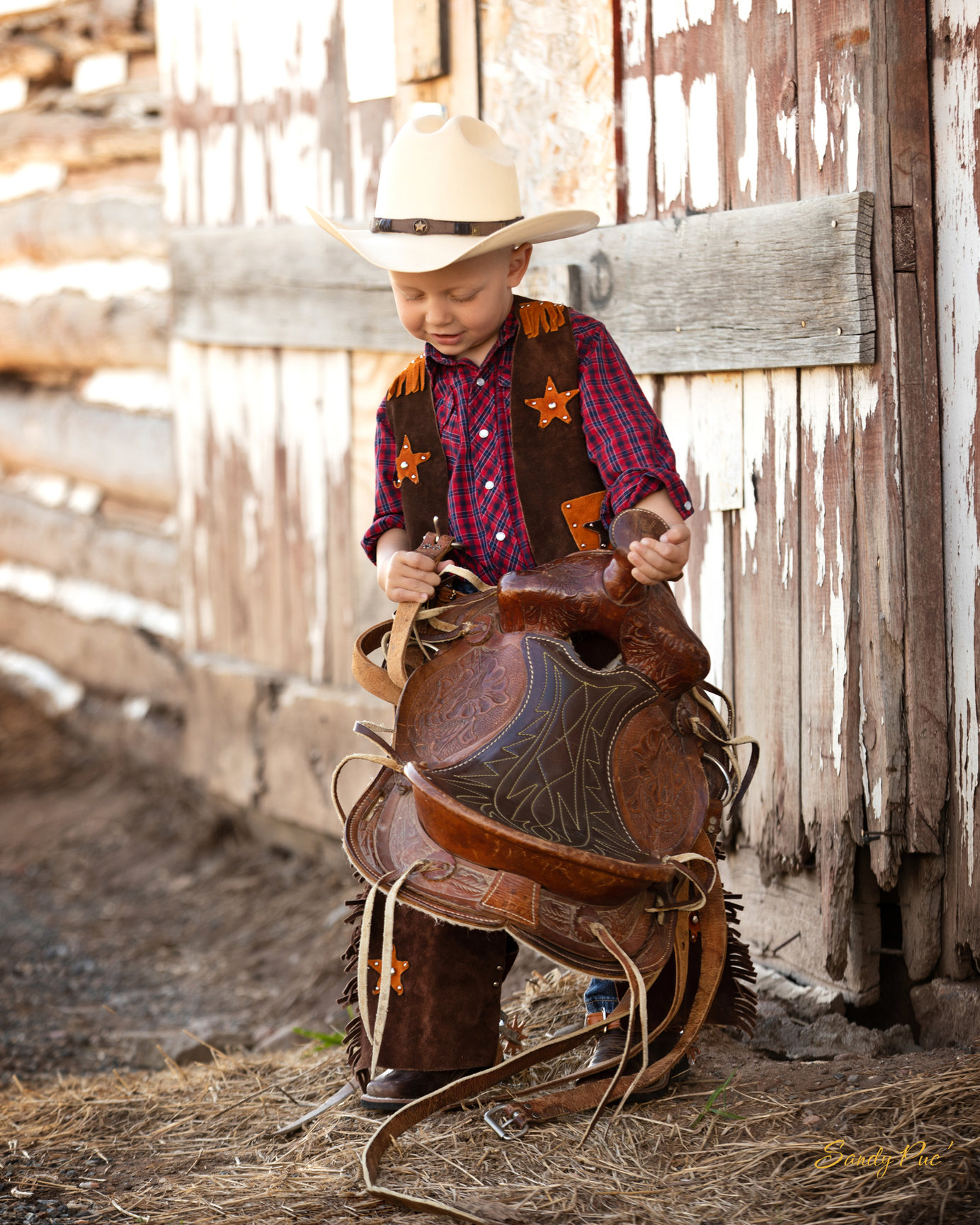 Cowboy Daze - Sandy Puc Photography