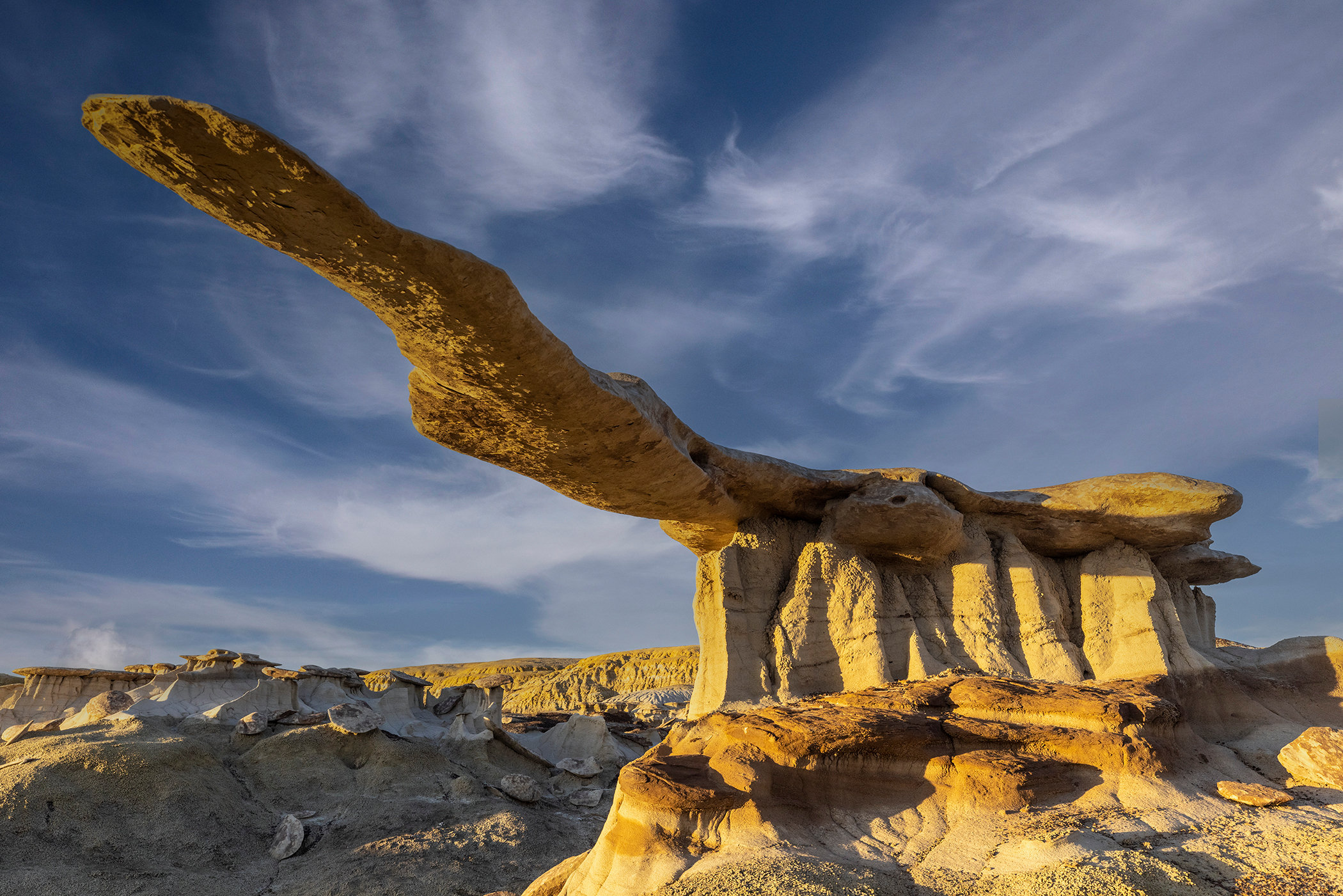 Sunset light at the King of Wings - Jim Zuckerman photography & photo tours