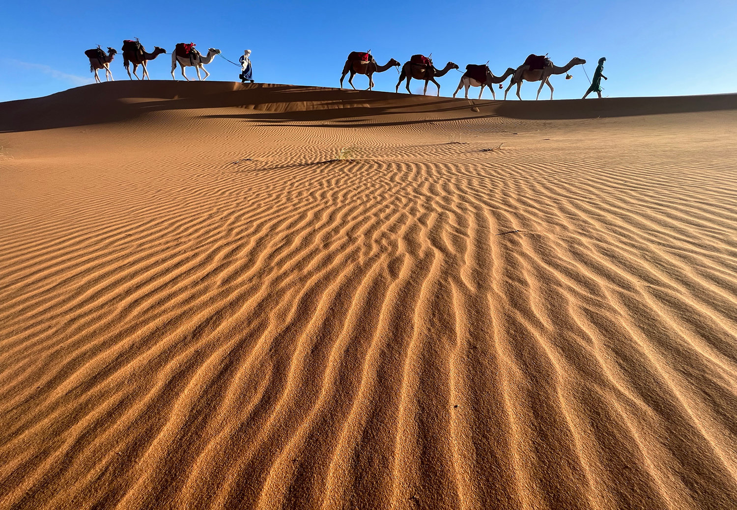 Silhouettes at sunset - Jim Zuckerman photography & photo tours