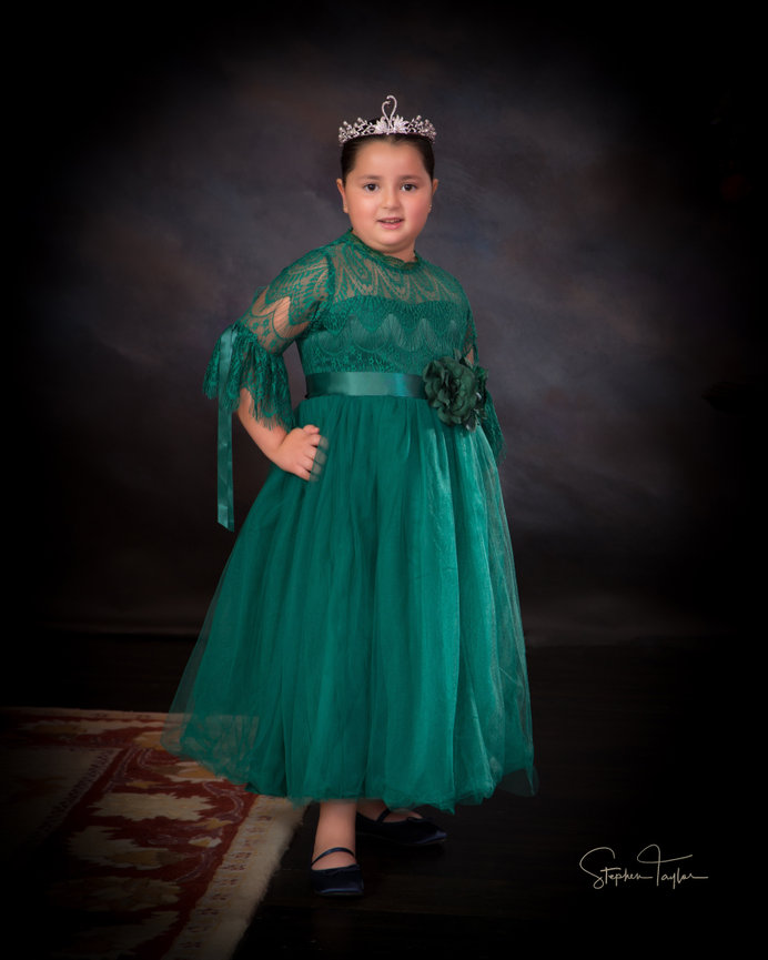 Tuxedos and Tiaras - Stephen Taylor Portrait Artist