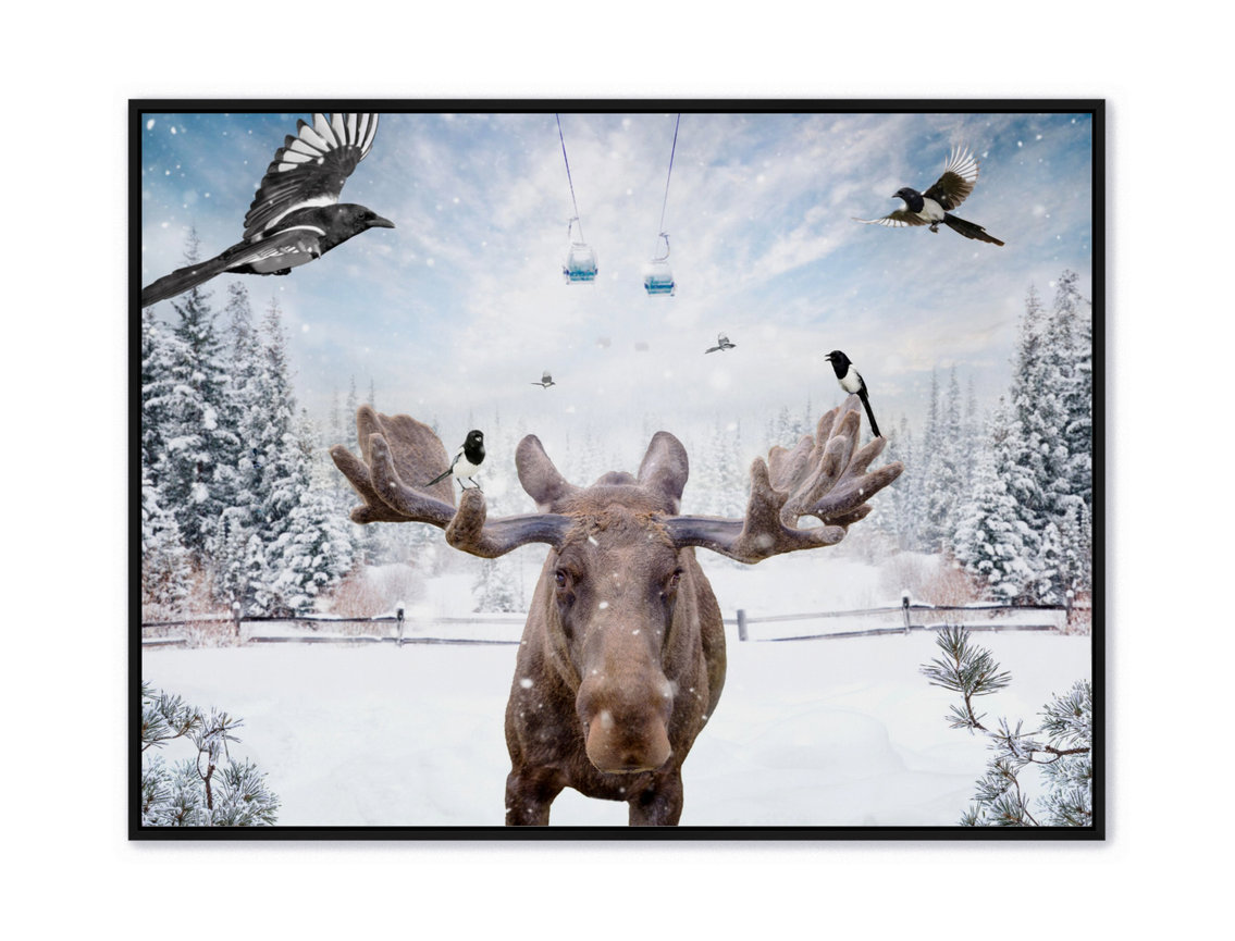 Powder Pals - Park City Photographer - Dana Klein Creative Photography