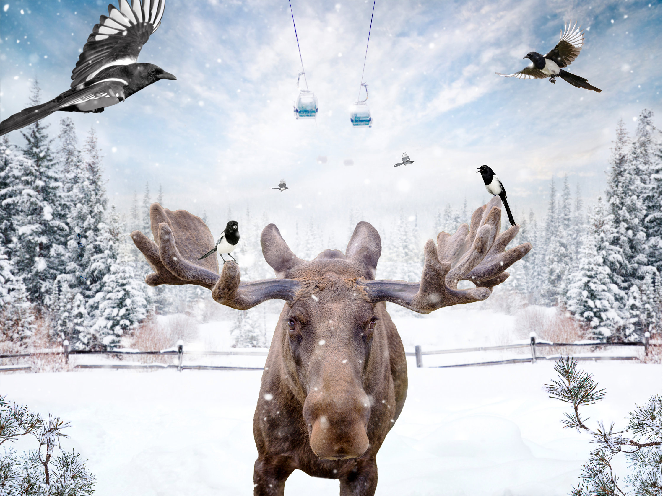 Powder Pals - Park City Photographer - Dana Klein Creative Photography