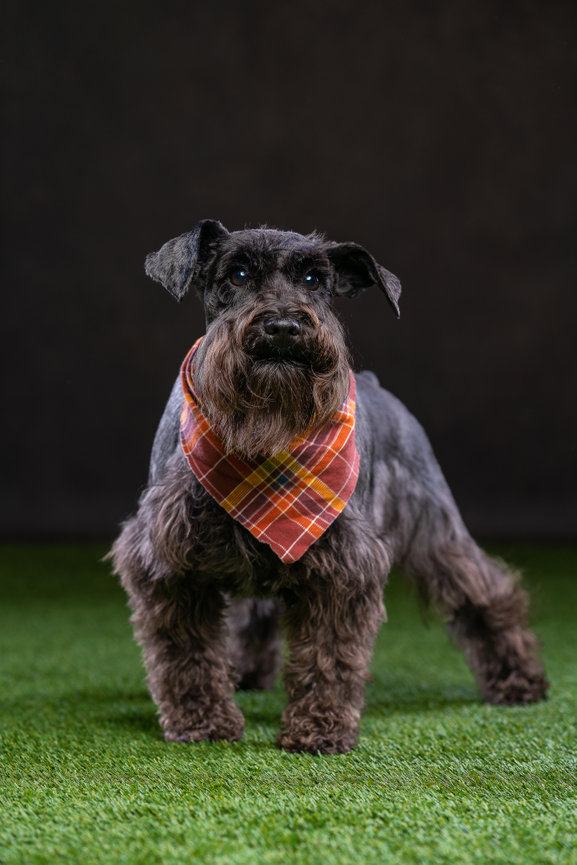 Client Final Galleries - Orendorff Studios