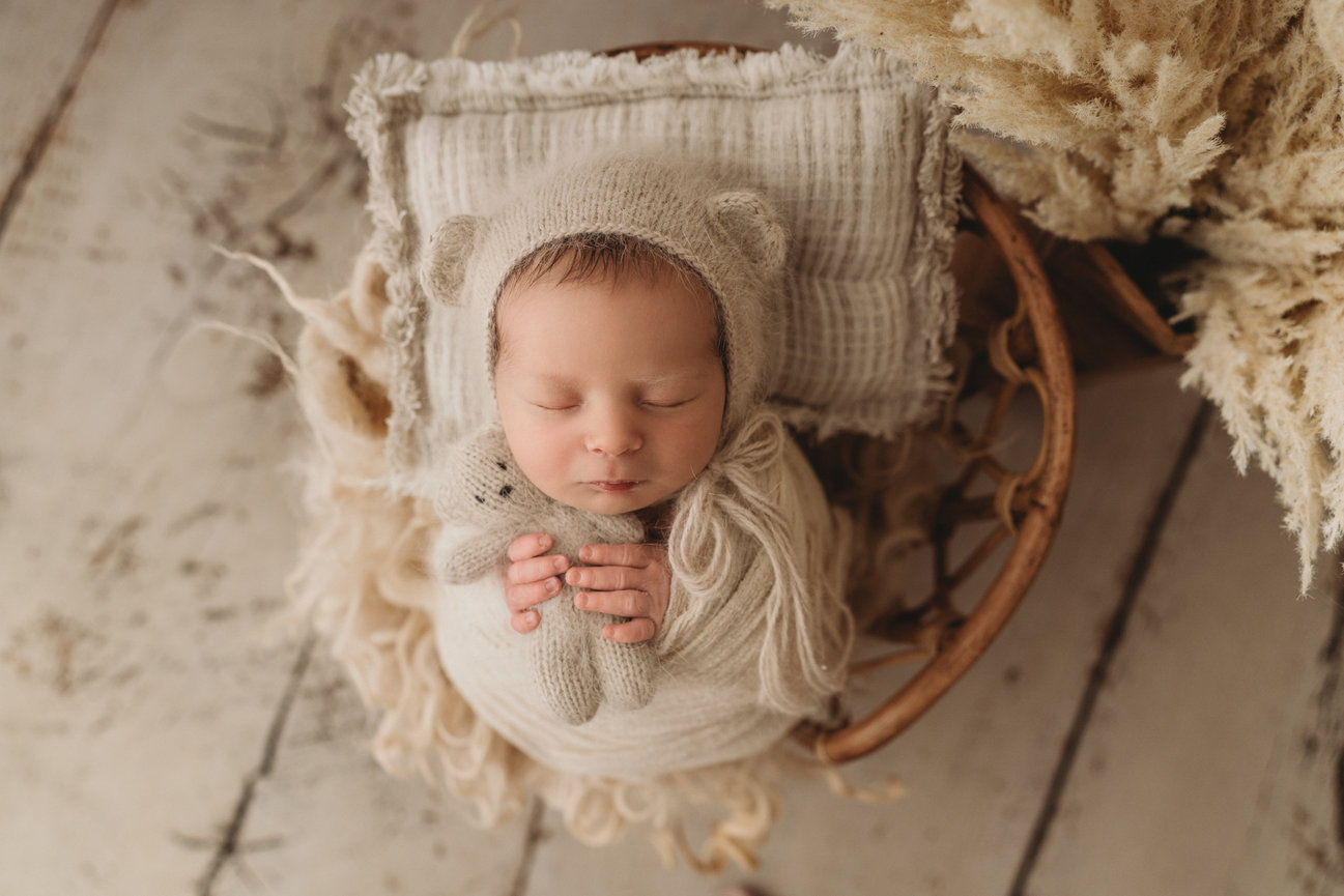 All sessions - Three little bears photography