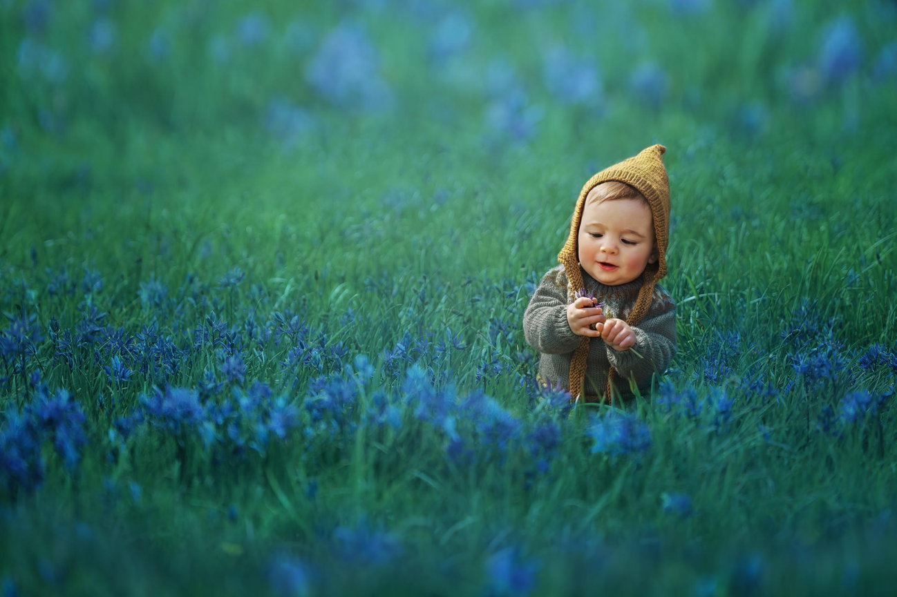 A Magical Trip to Victoria Canada and one adorable little baby boy ...