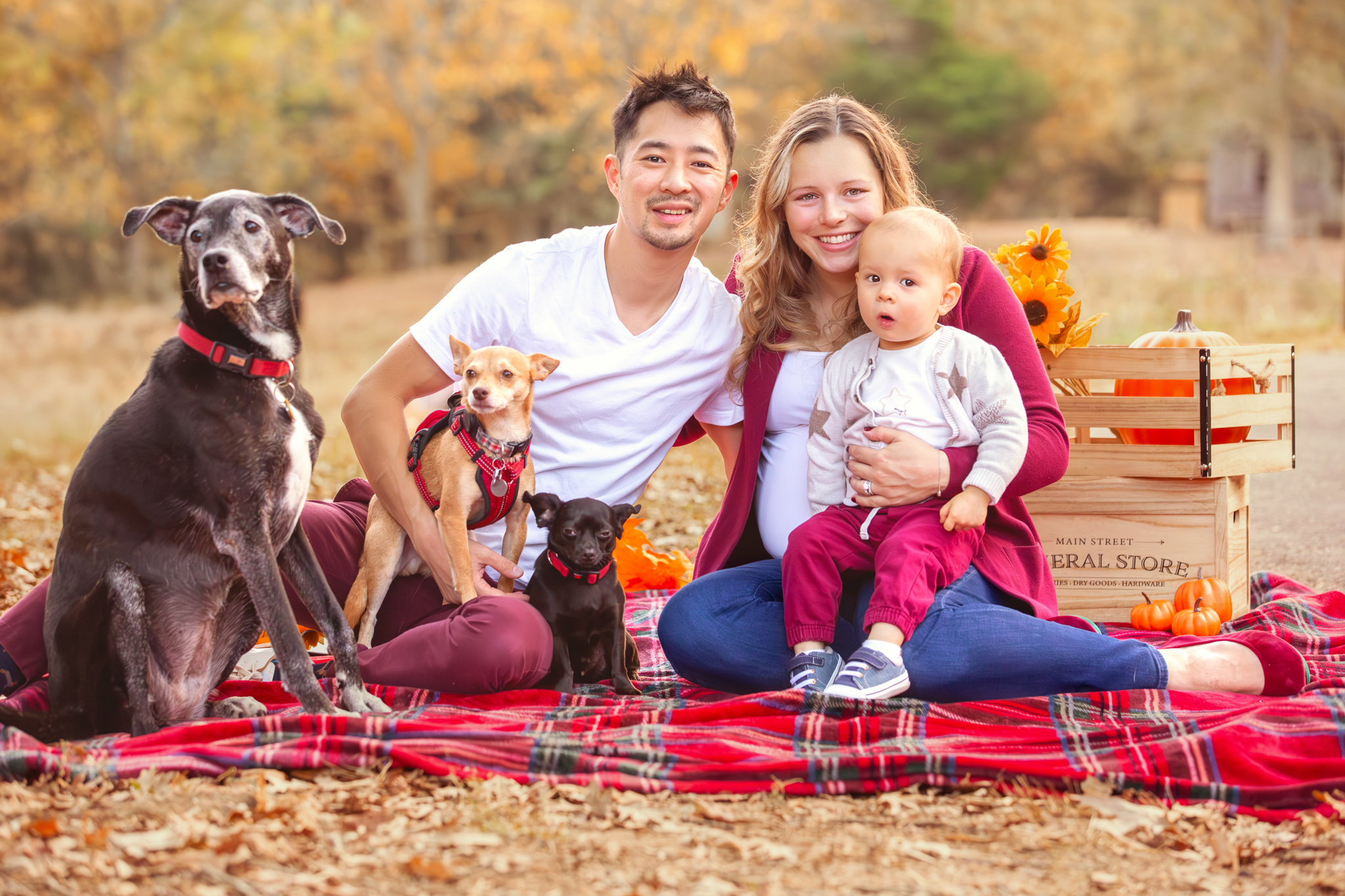 Popick Family Fall Mini Session