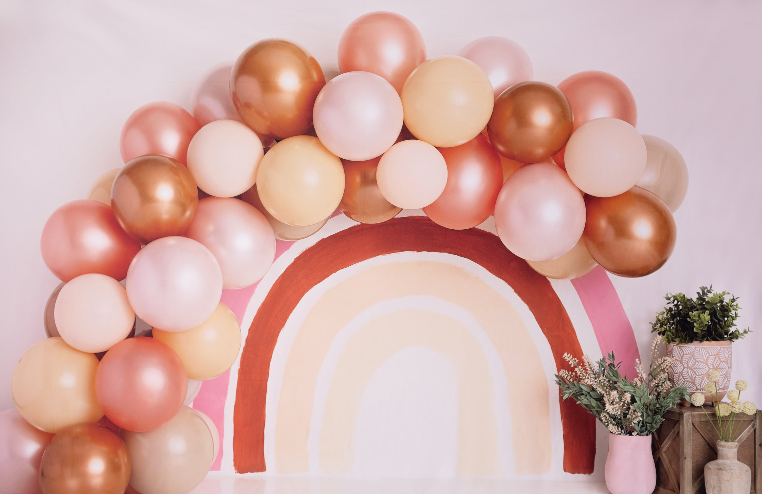 Brampton and Caledon Cake Smash Photographer - Signature Backdrops ...