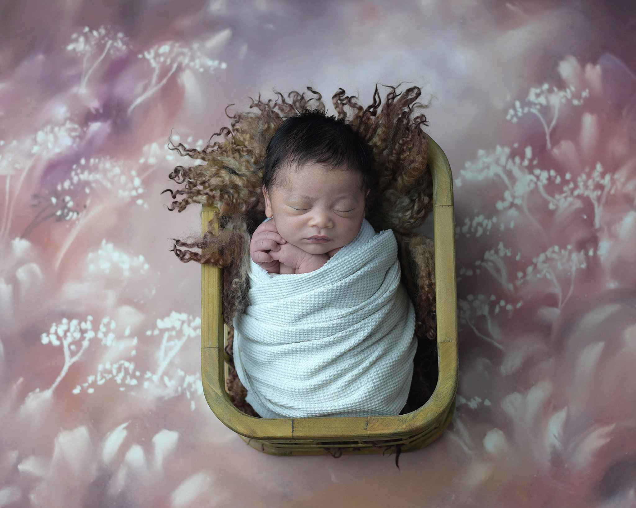Hickory, NC, Newborn Portrait STudio - Heidi Houser Photography
