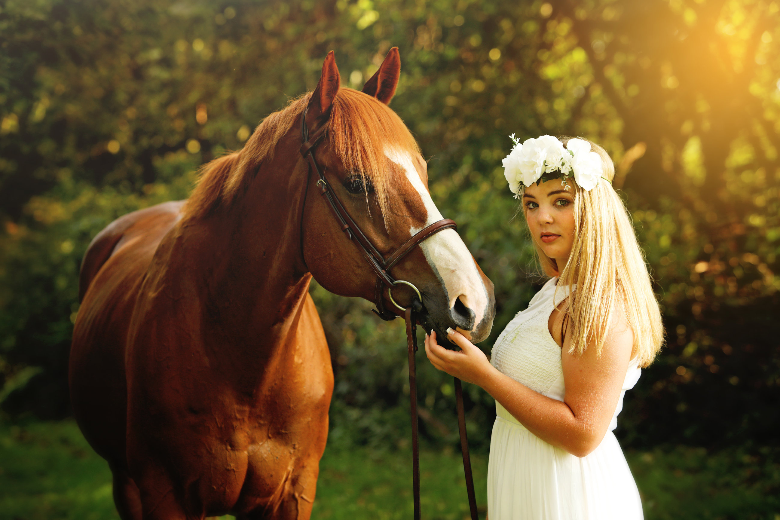 EQUINE - Tri Color Photography