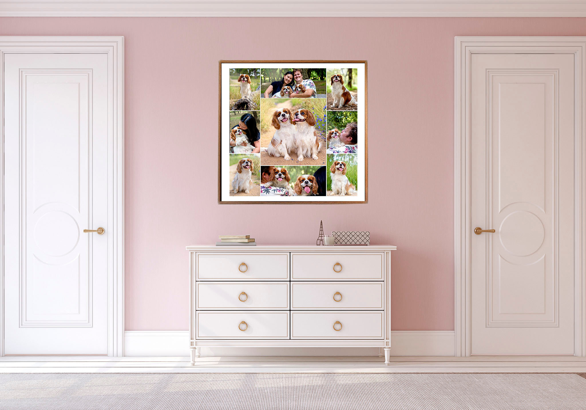 Product Feature: Storyboard Collage - Canberra Award Winning Pet and ...