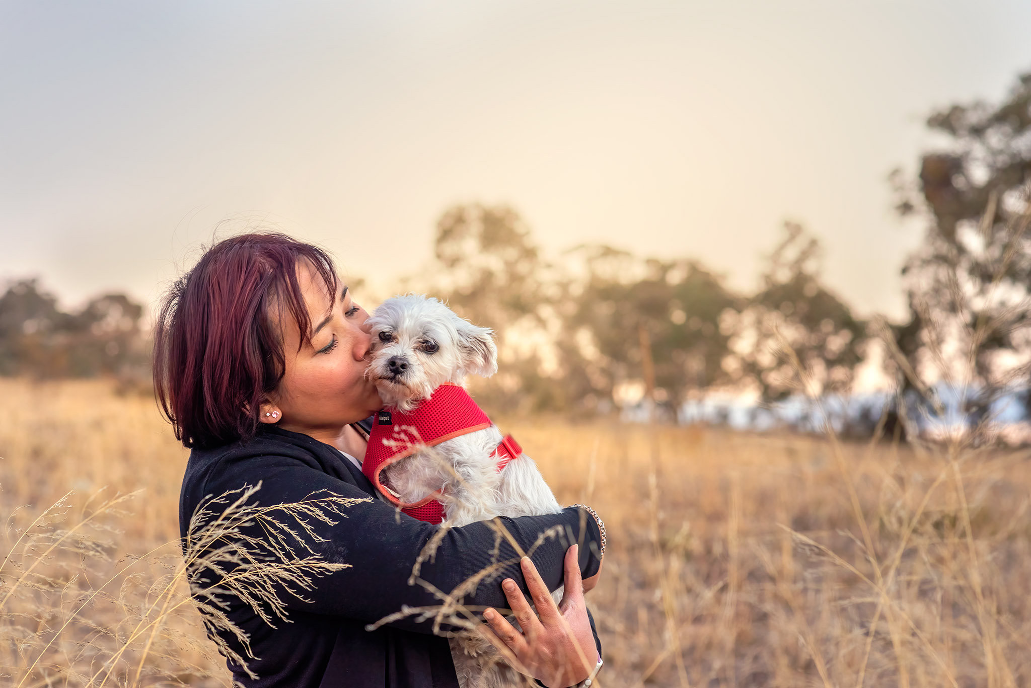 Golden Moments Sessions - End of Life Pet Photography Session
