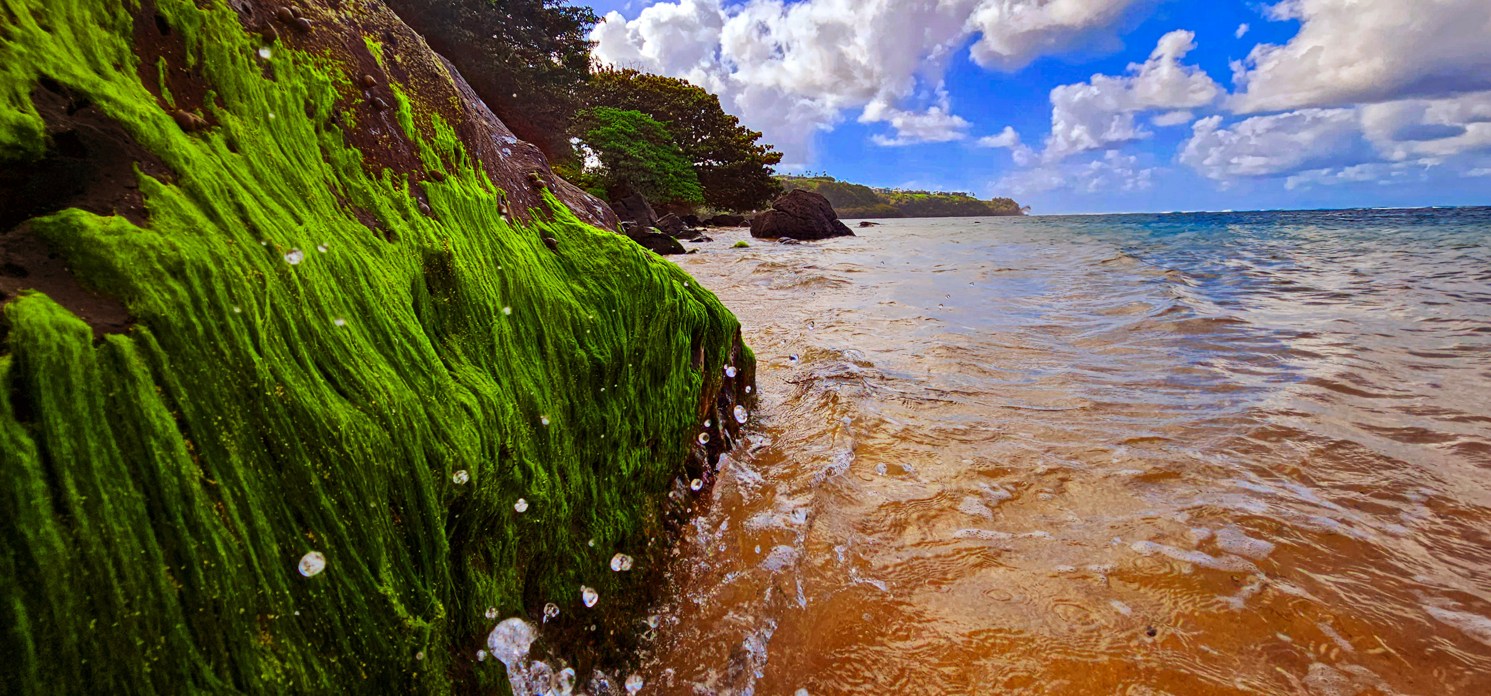 Artist- Eric Wiles Photography