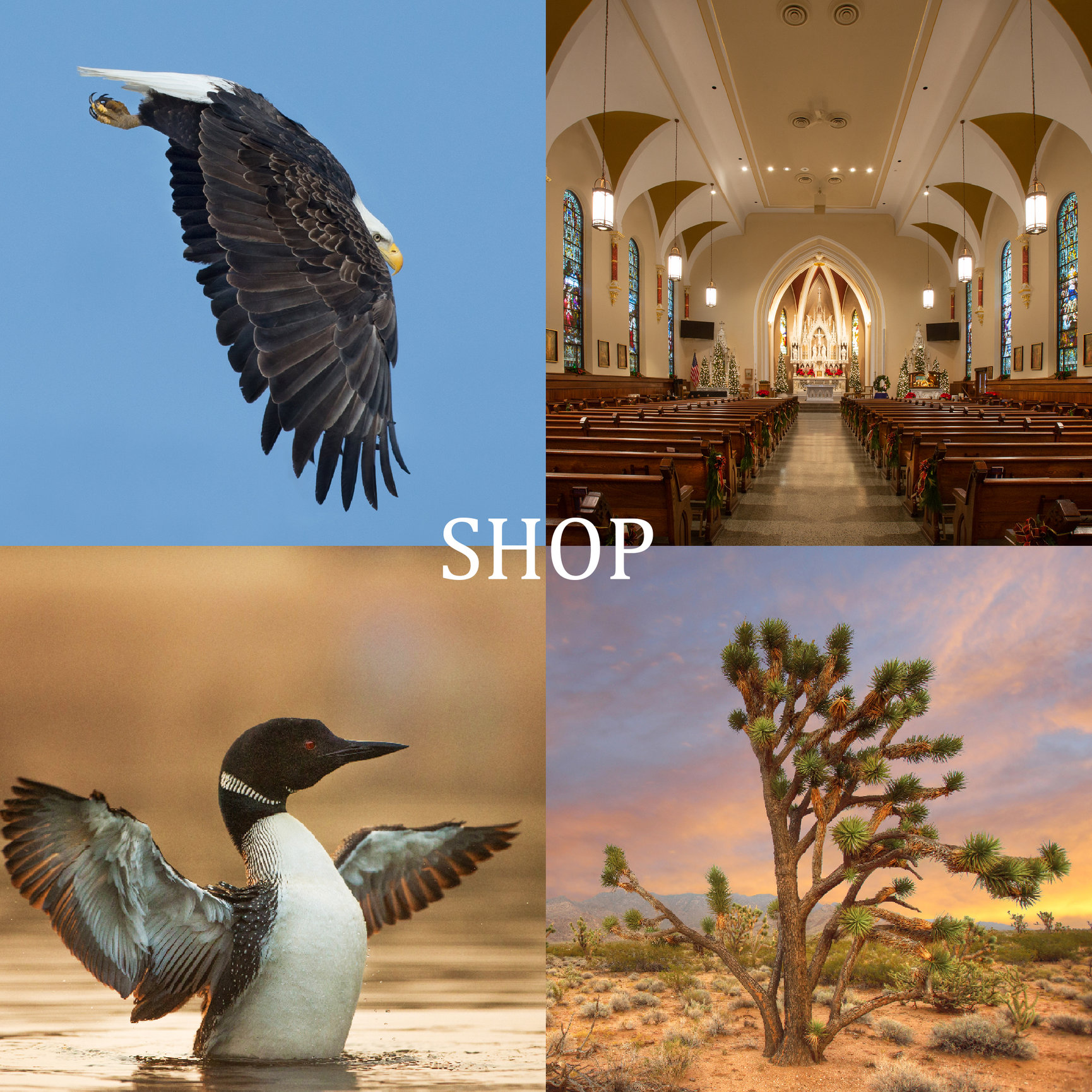 Professional Photography & Portraits in Appleton, WI | M. C. Kinney ...