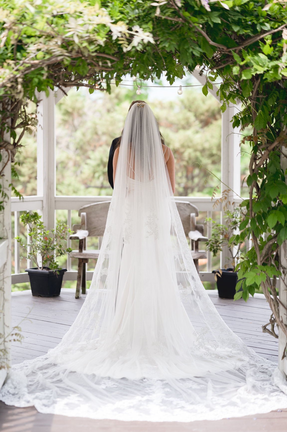 The Essential Collection - The Wedding Chapel on the Mountain